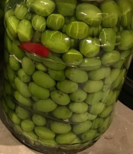 Traditional Olive Picking & Preserving | bunch