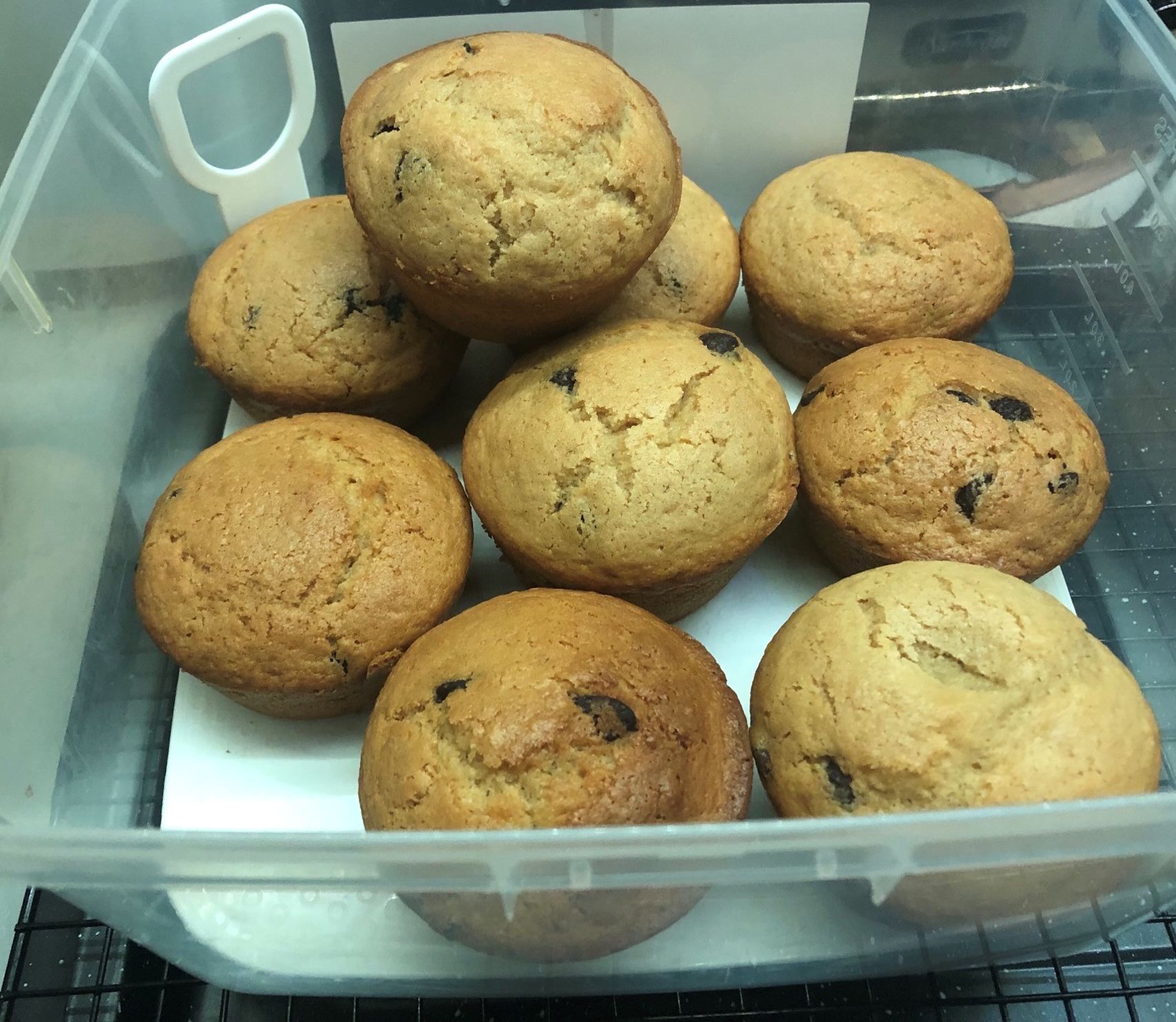Choc chip muffins | bunch