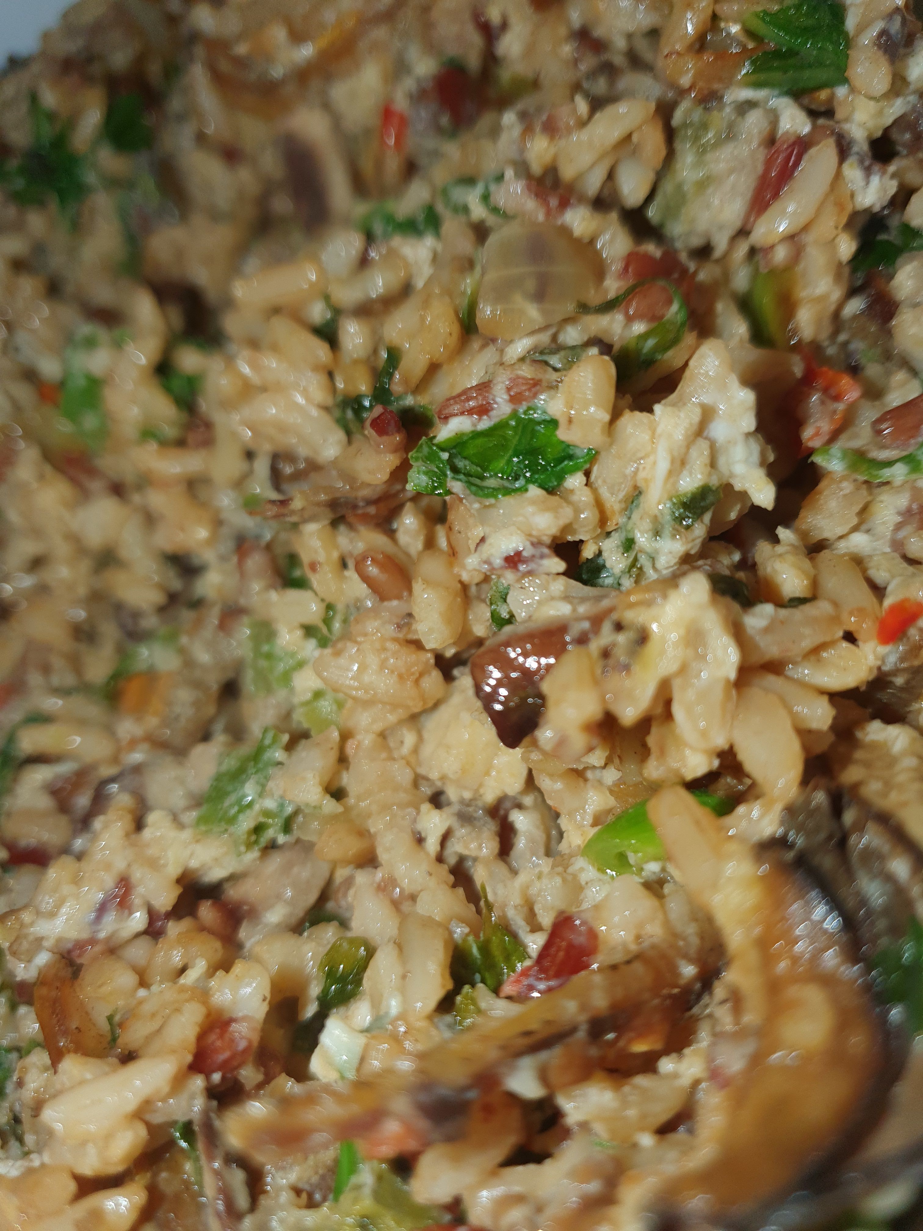 Anchovies and oyster Fried rice | bunch