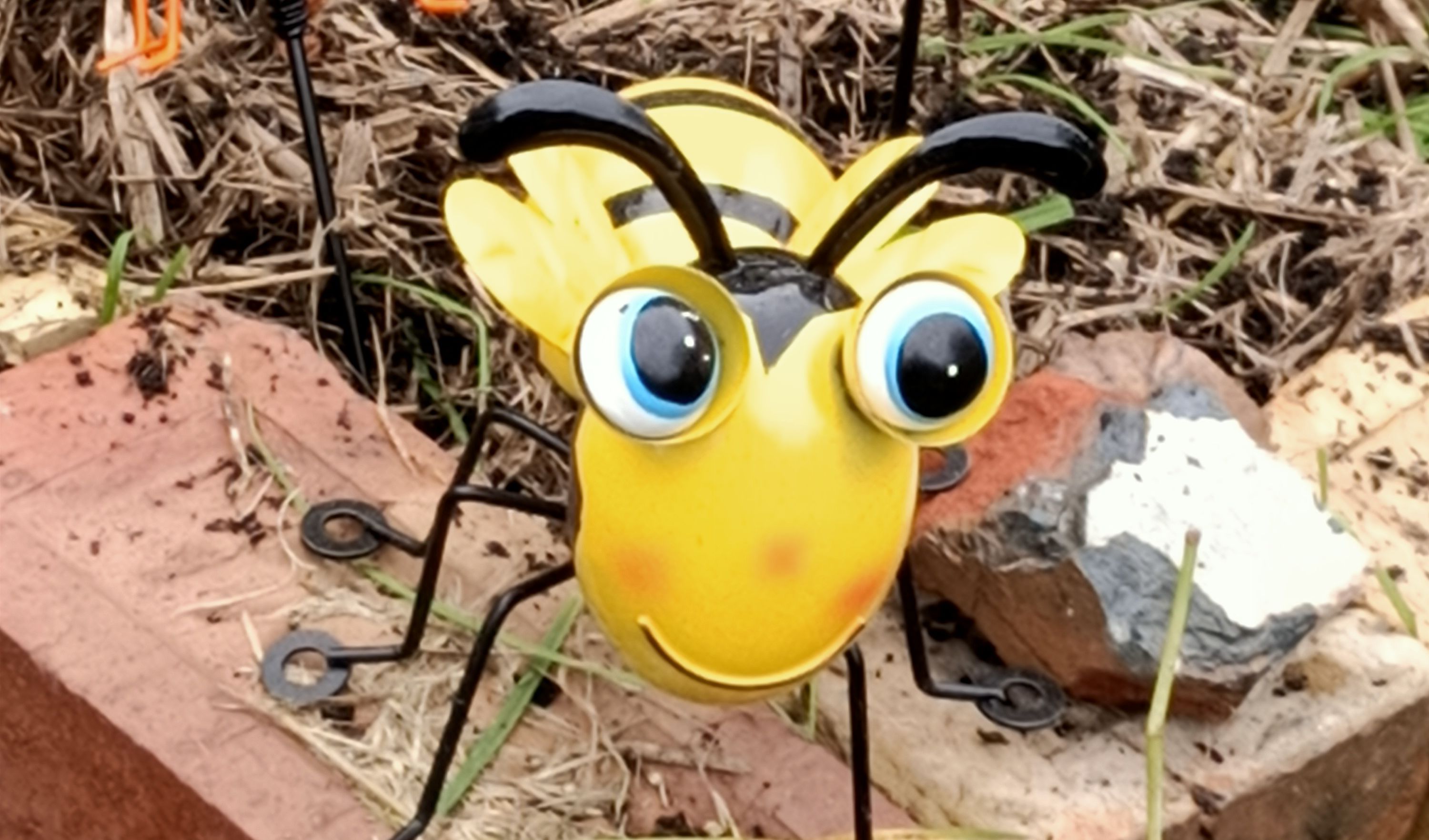 Member highlight: Baybee | bunch