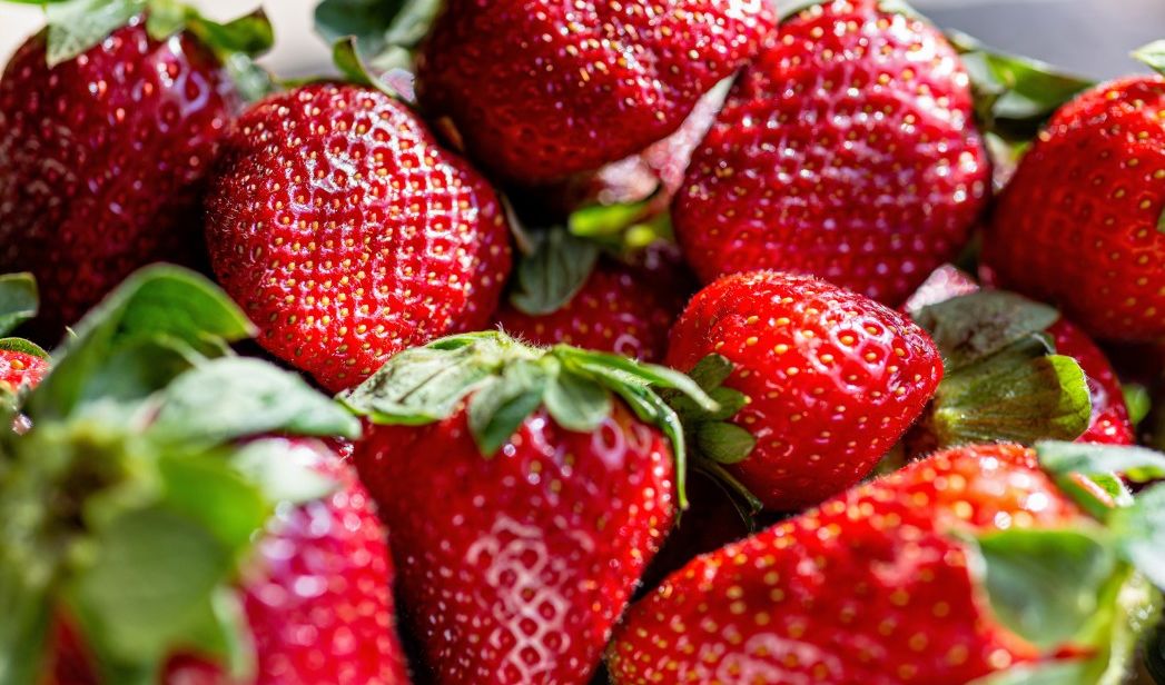 15 bunchee tips for what’s in season | bunch