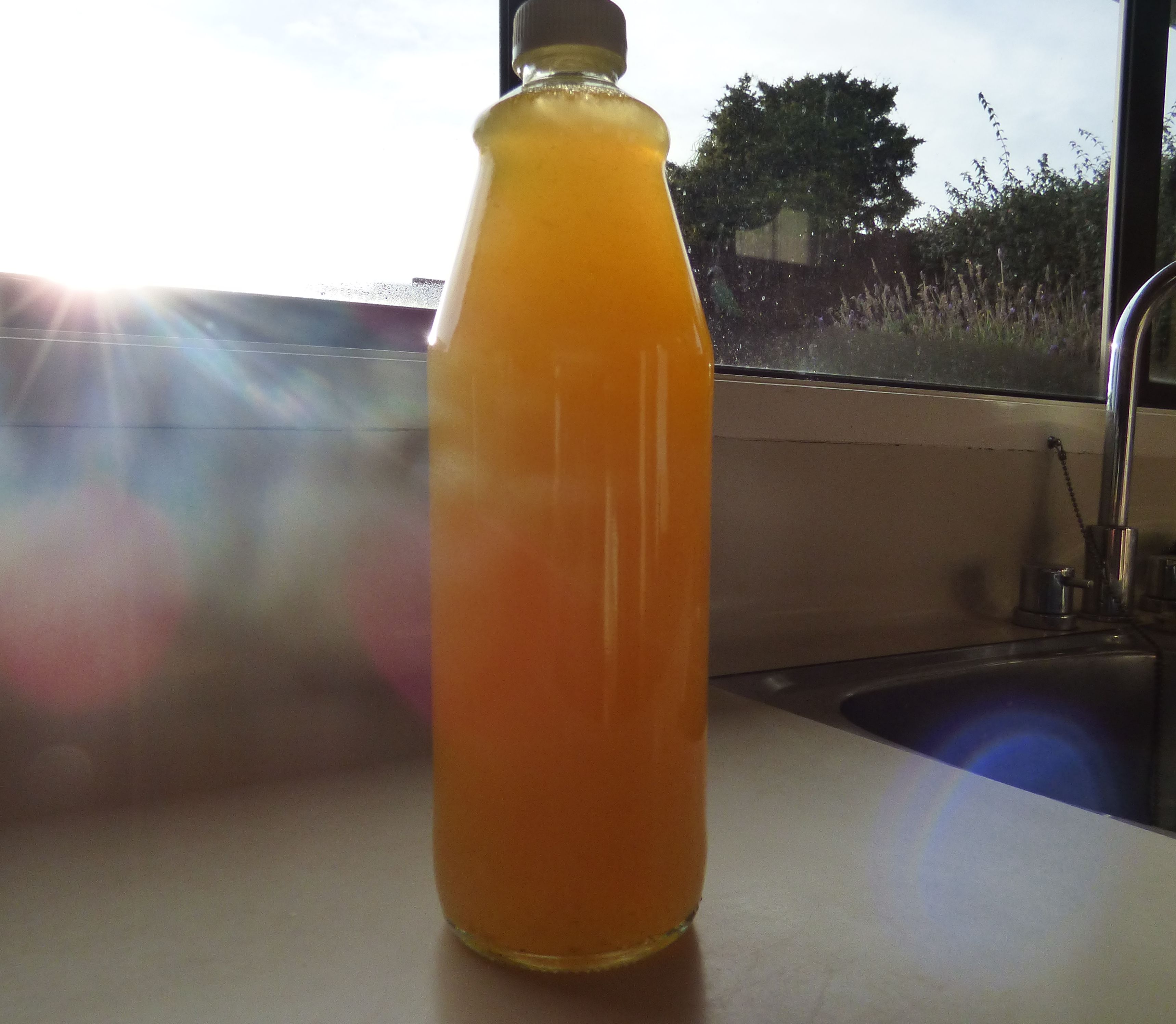 Orange Cordial | bunch