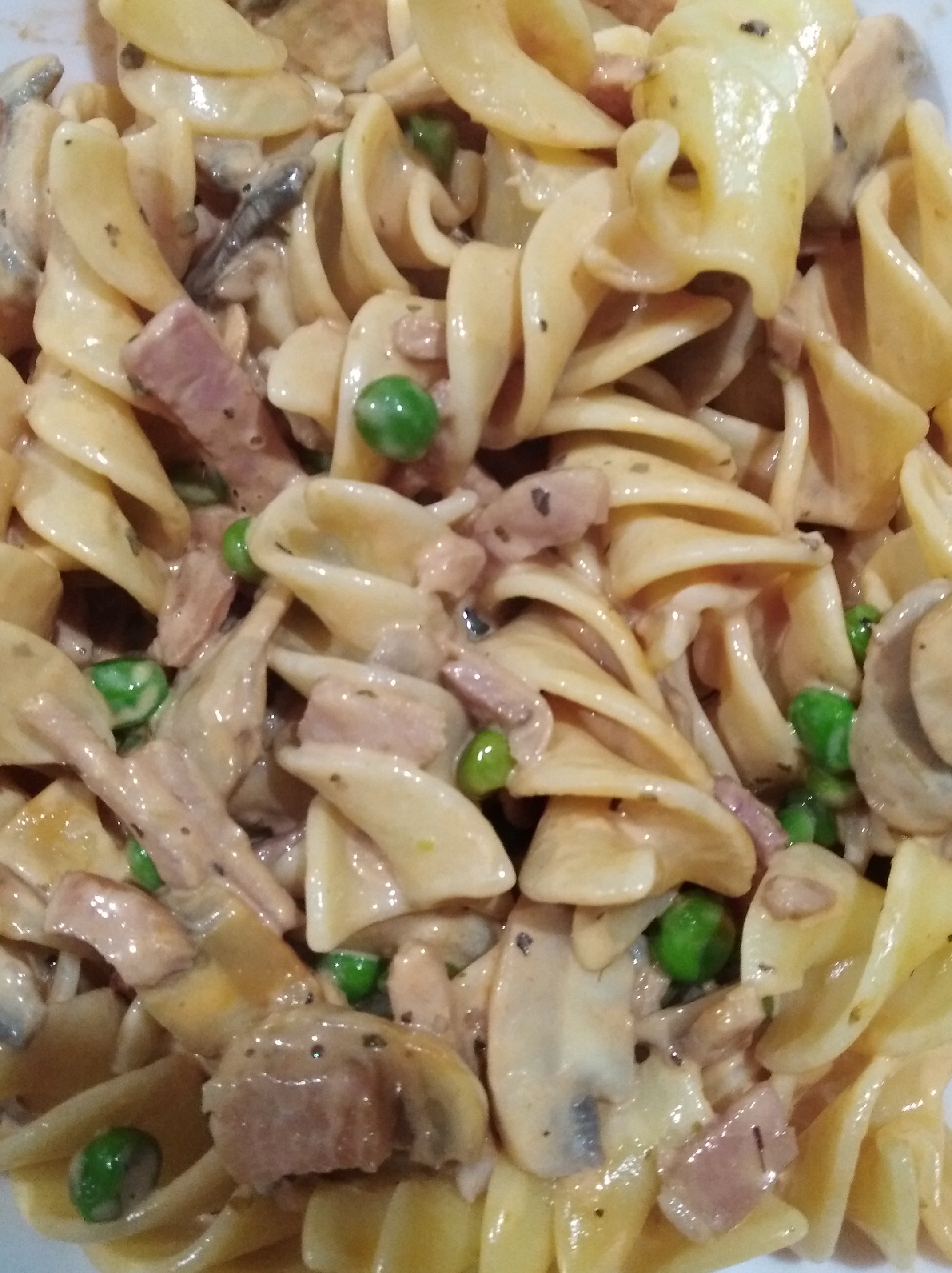 Mushroom and Bacon Fusilloni | bunch