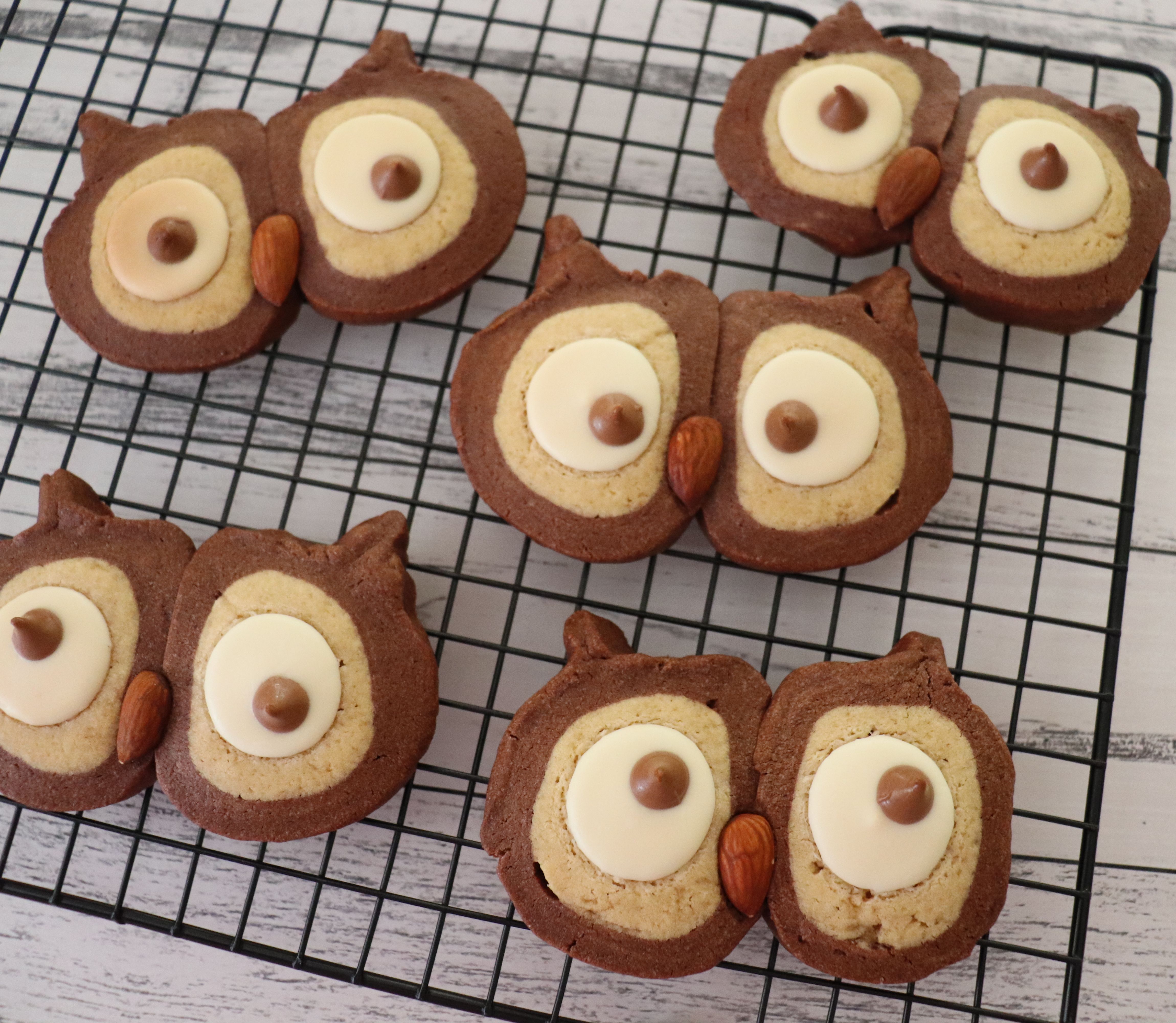 Owl Biscuits | bunch