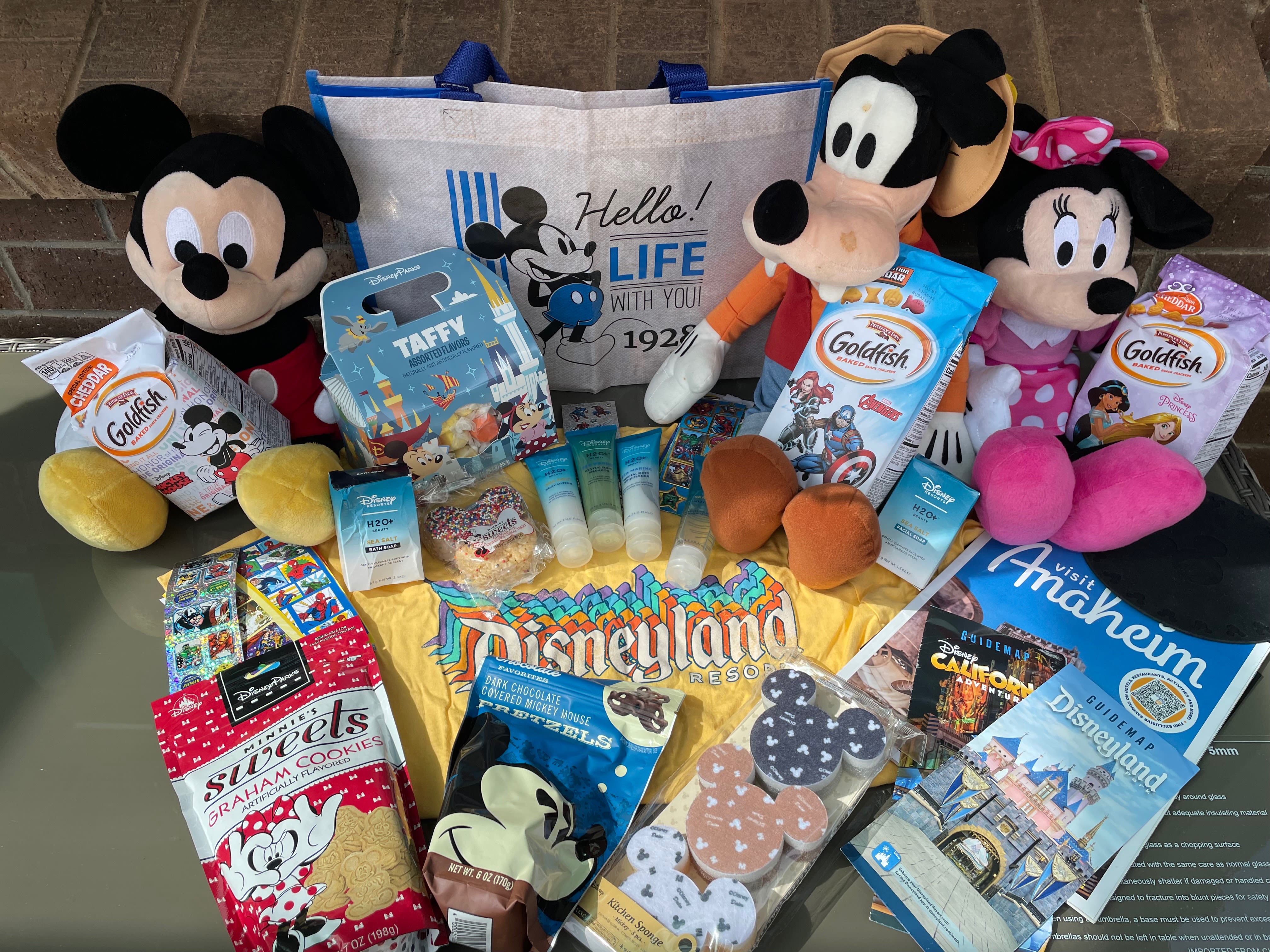 Disneyland Care Package | bunch