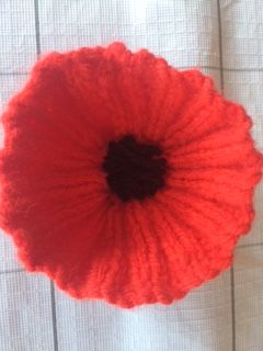 THE STORY BEHIND THE POPPY | bunch