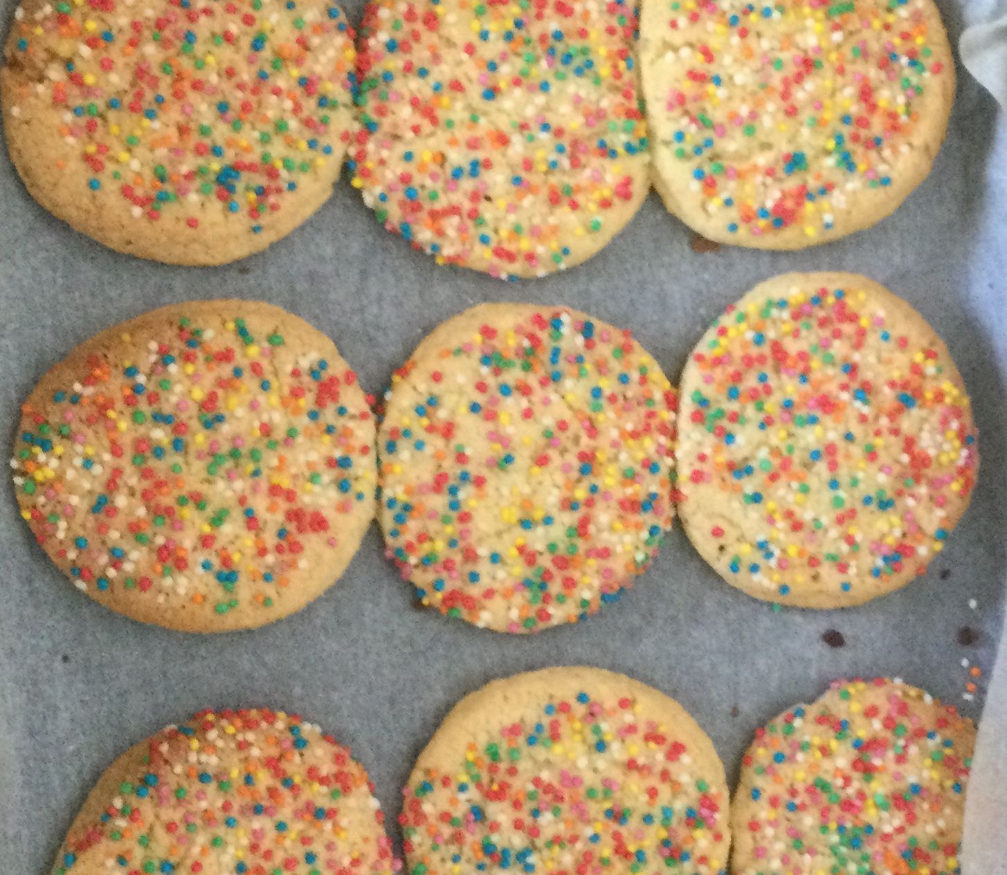 Plain Biscuits | bunch