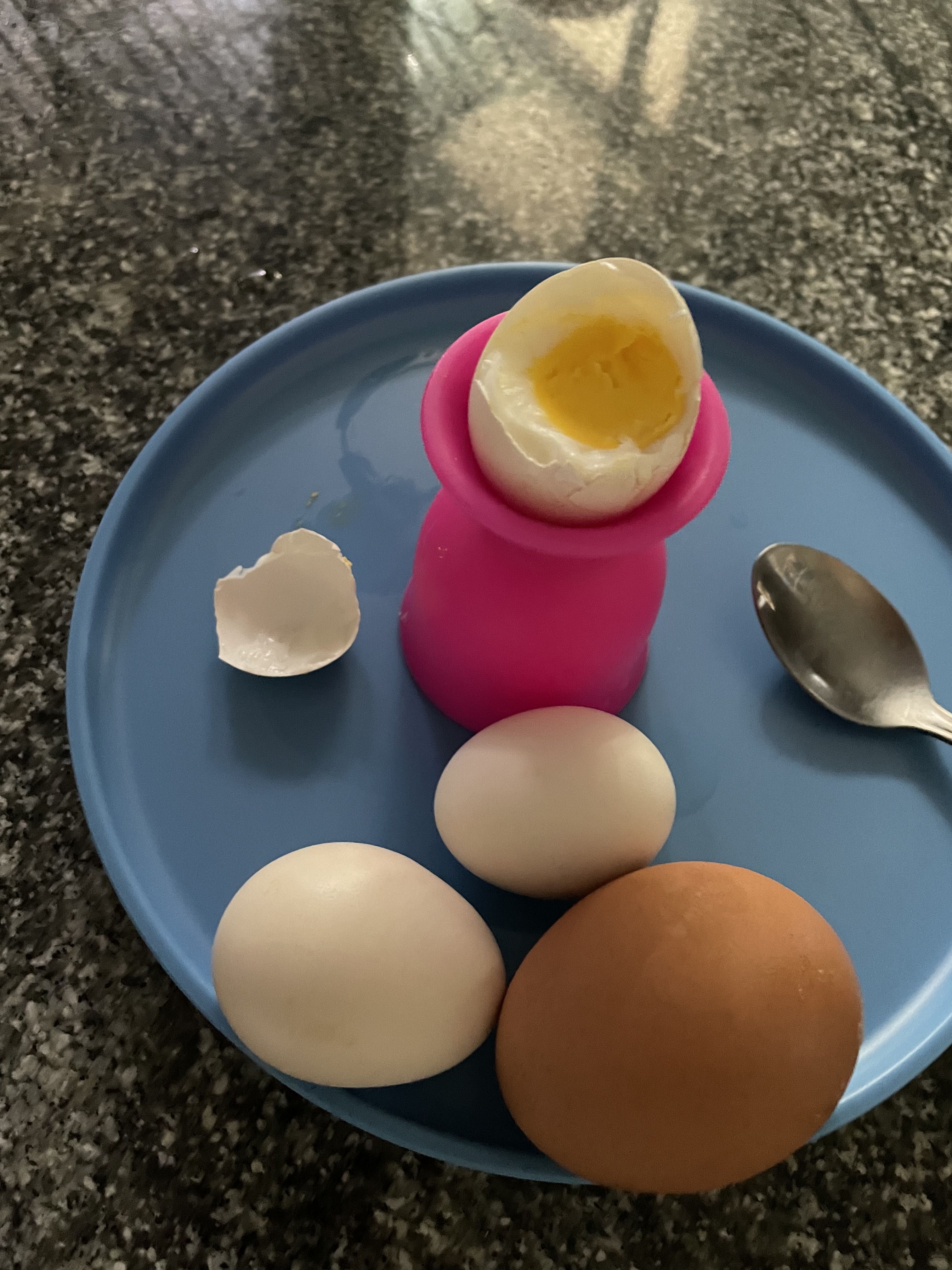 An eggs life | bunch