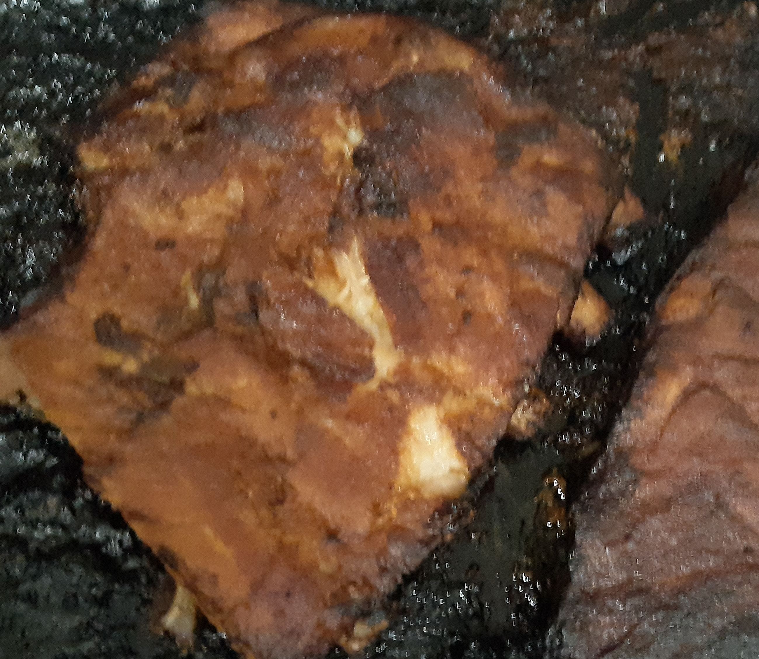 Marinated Pork Ribs | bunch