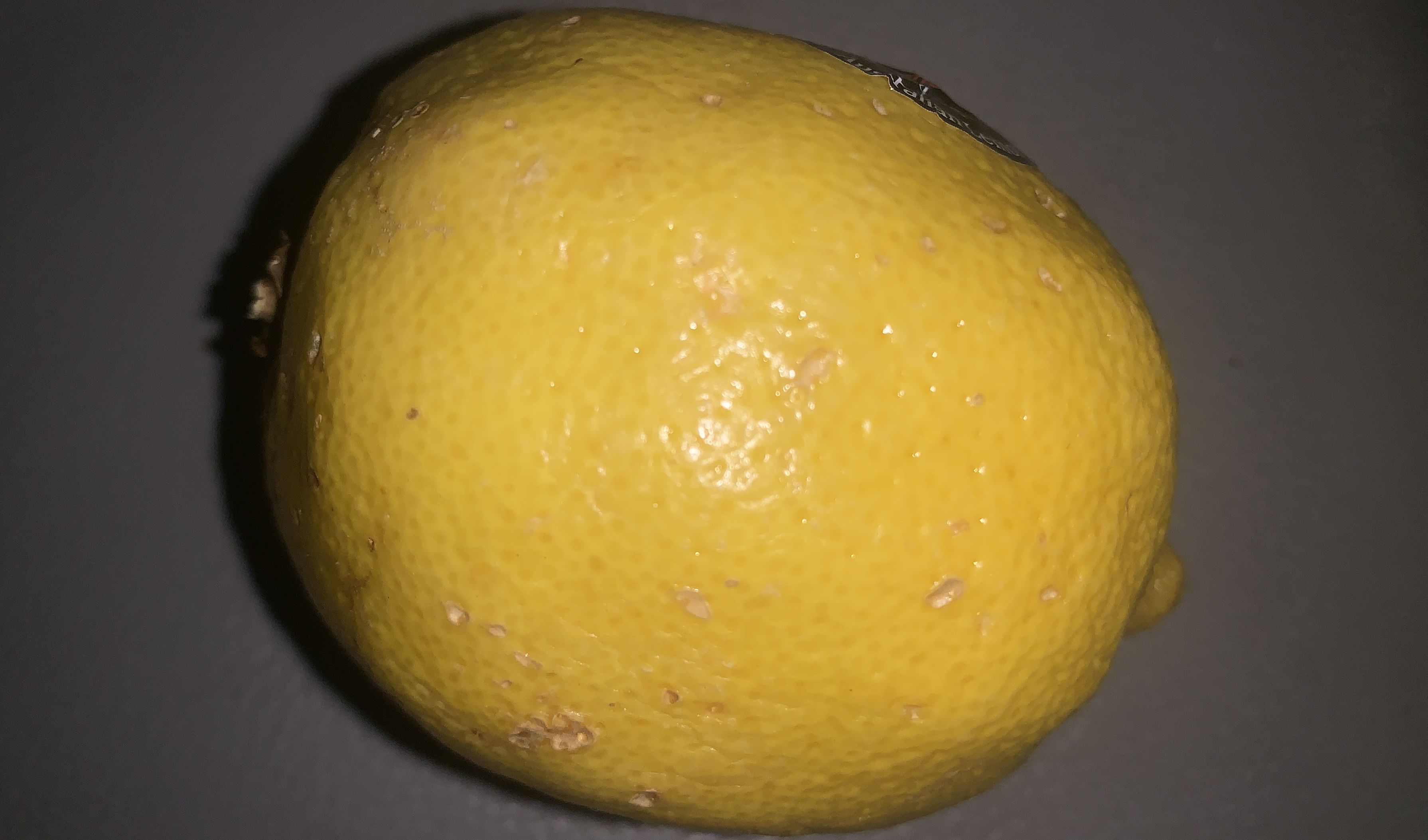 The trusty lemon 🍋 | bunch