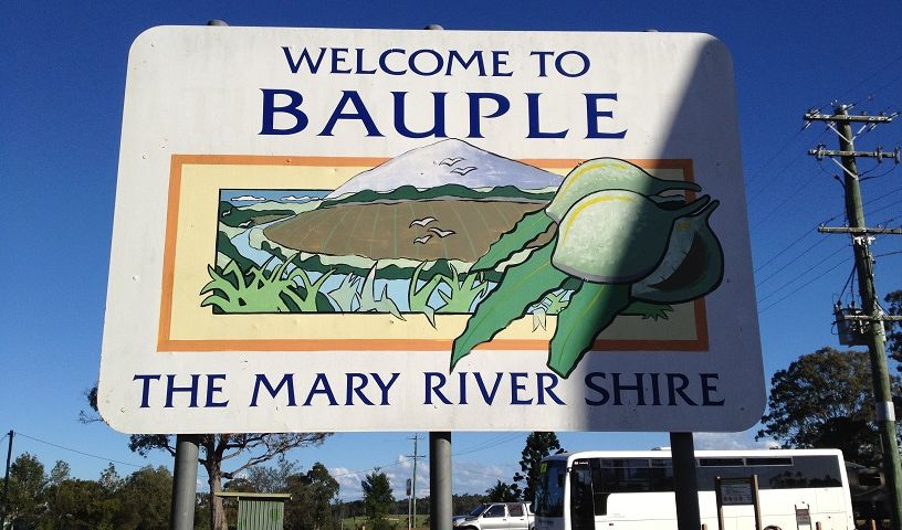 The Bopple Nut- The original macadamia | bunch