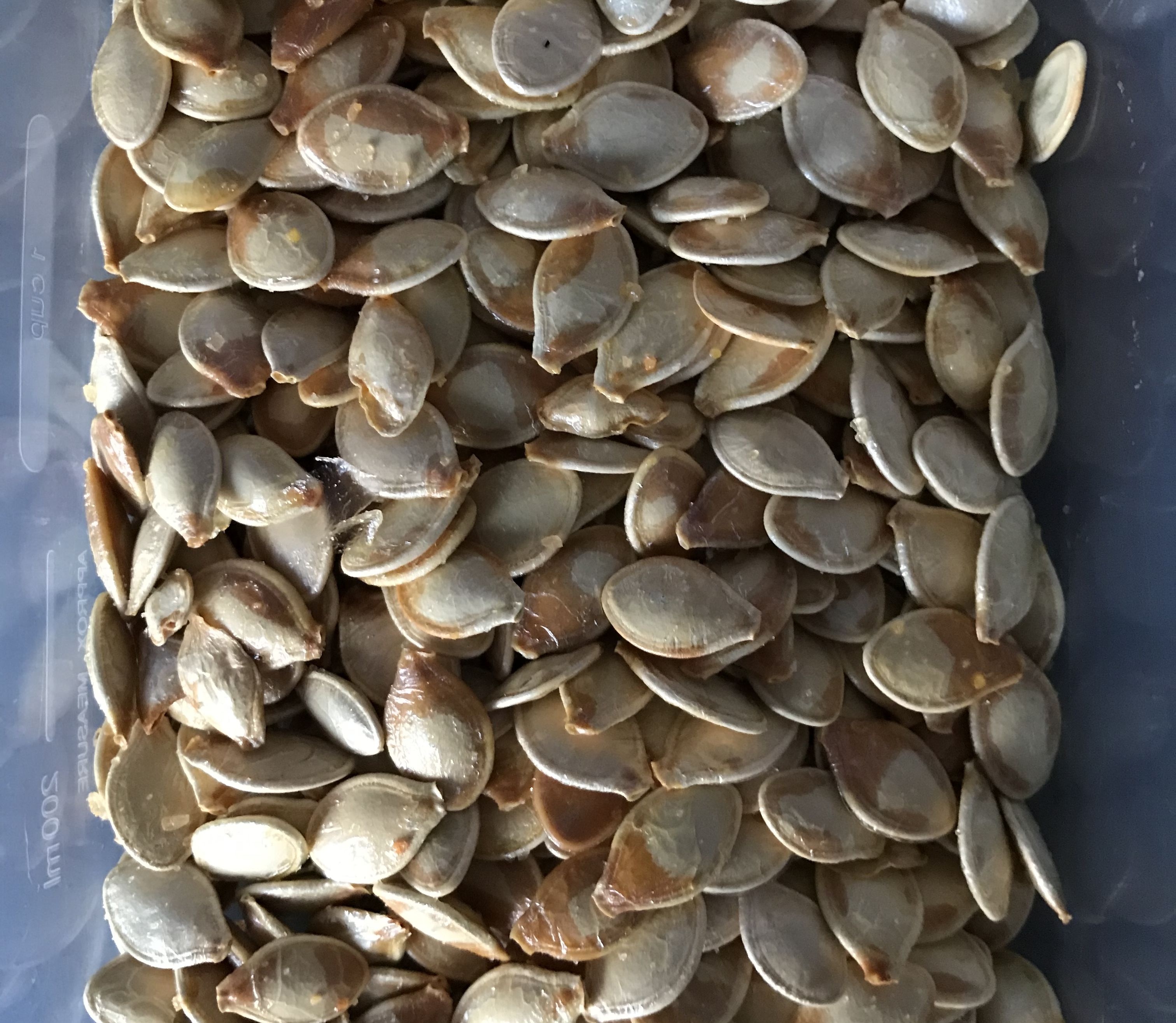 Roasted Pumpkin Seeds | bunch