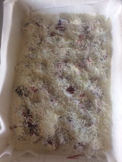 Lamington Ice-cream Cheesecake slice | bunch