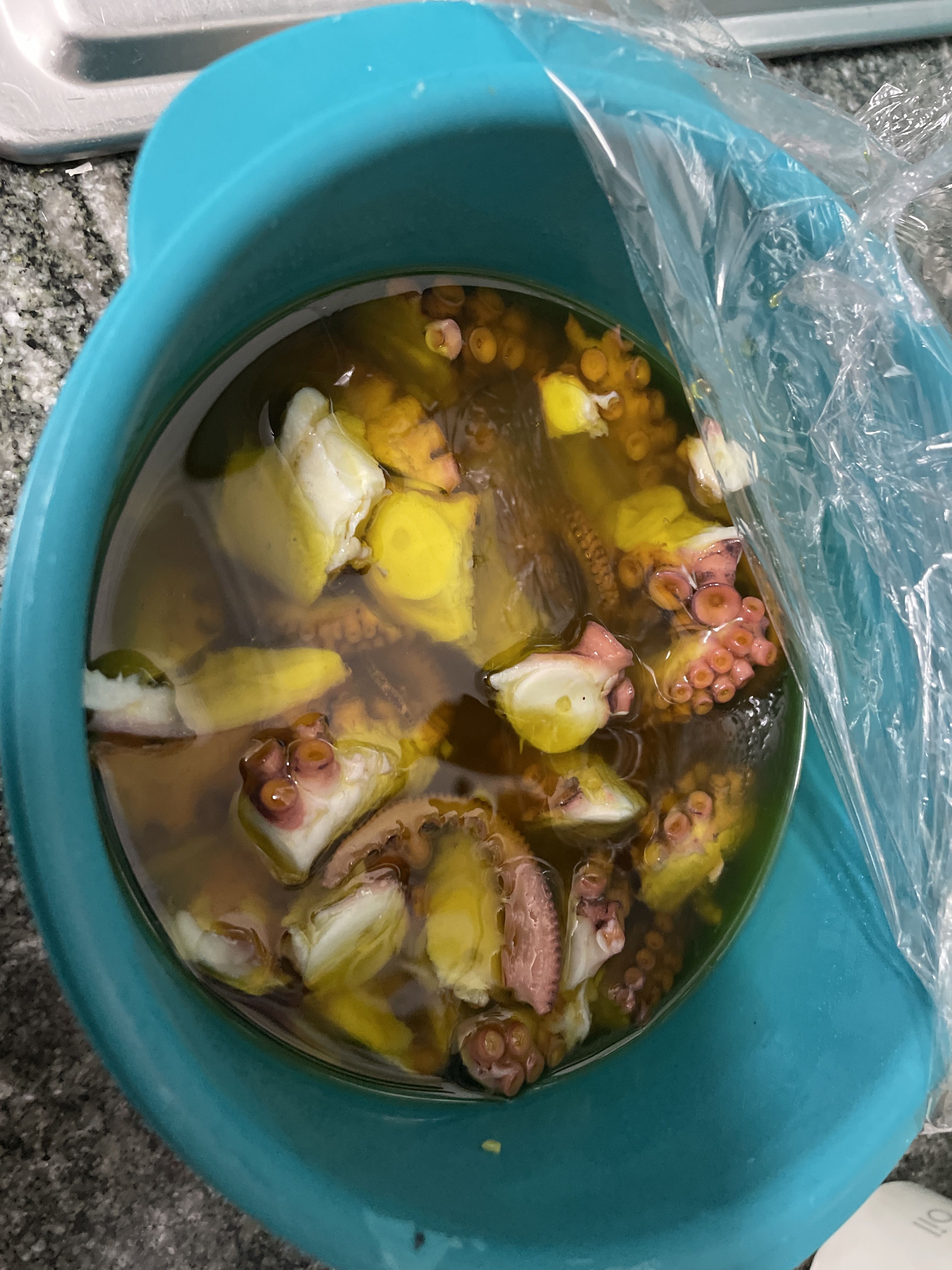 Pickled Octopus | bunch