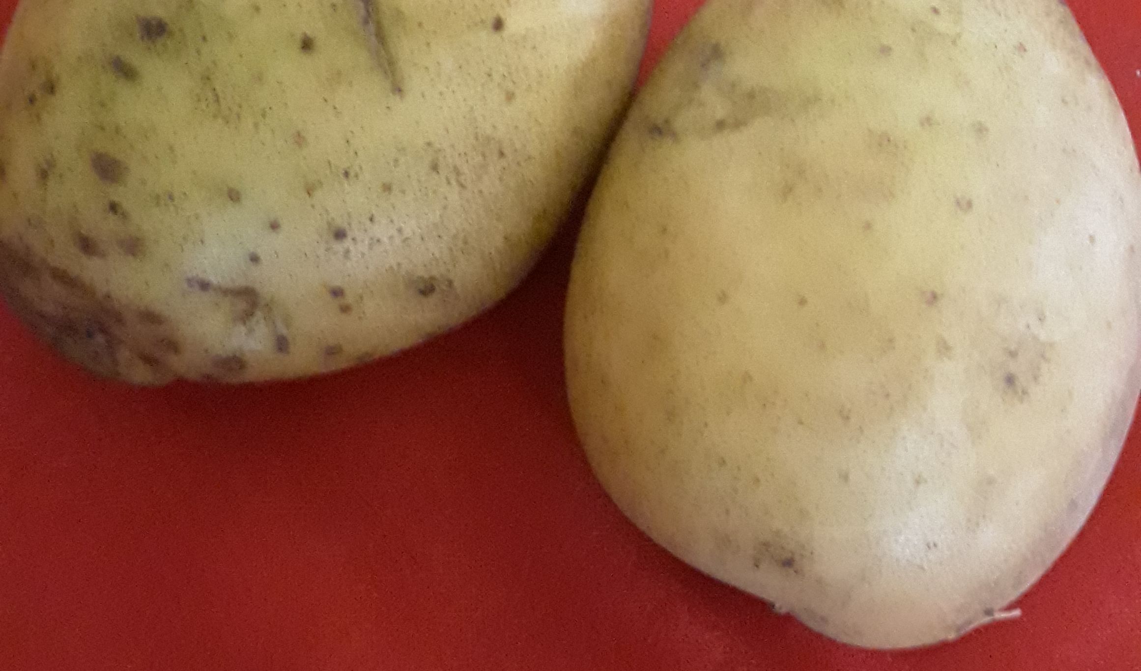 The Humble Spud | bunch