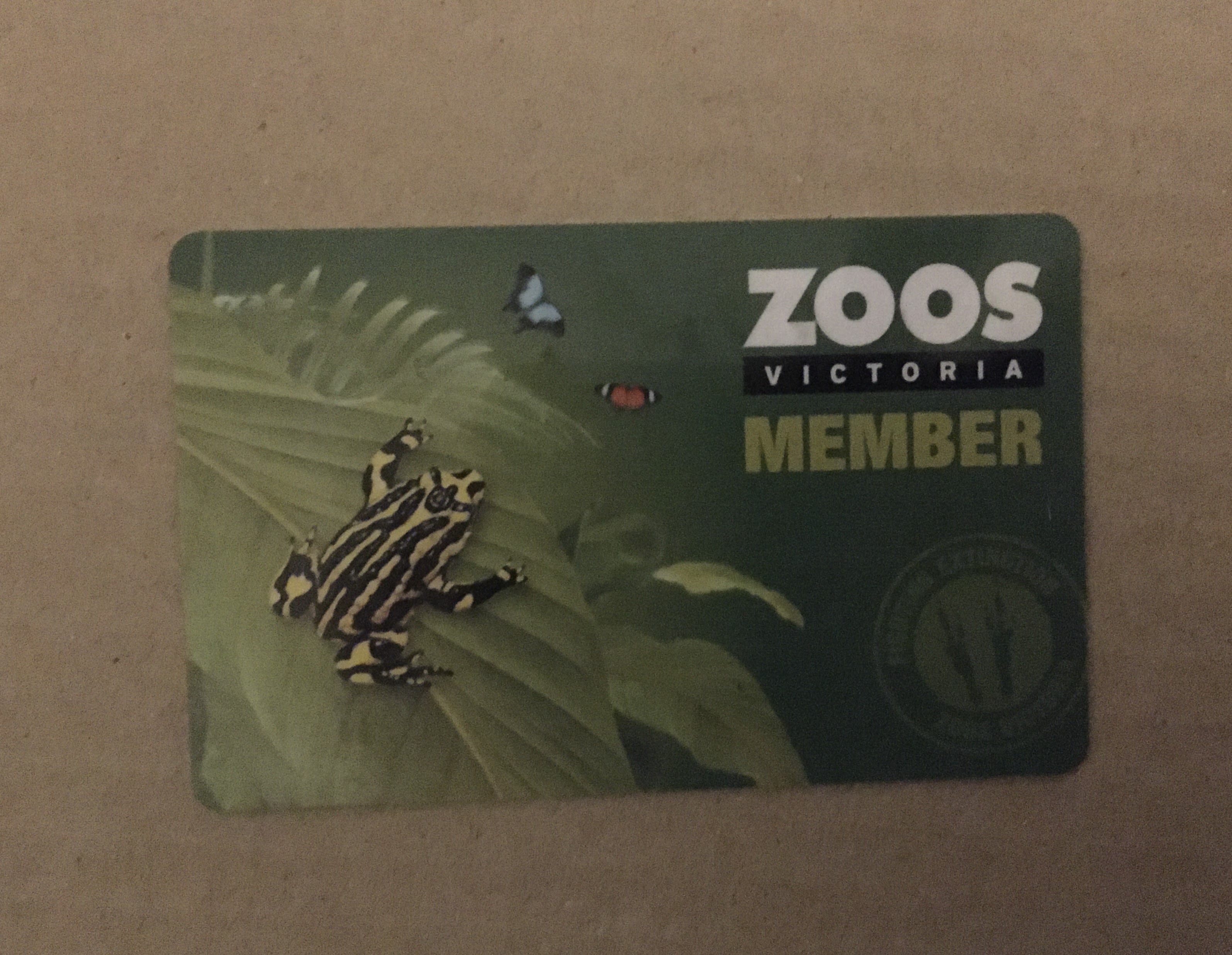 Zoo’s Victoria | bunch