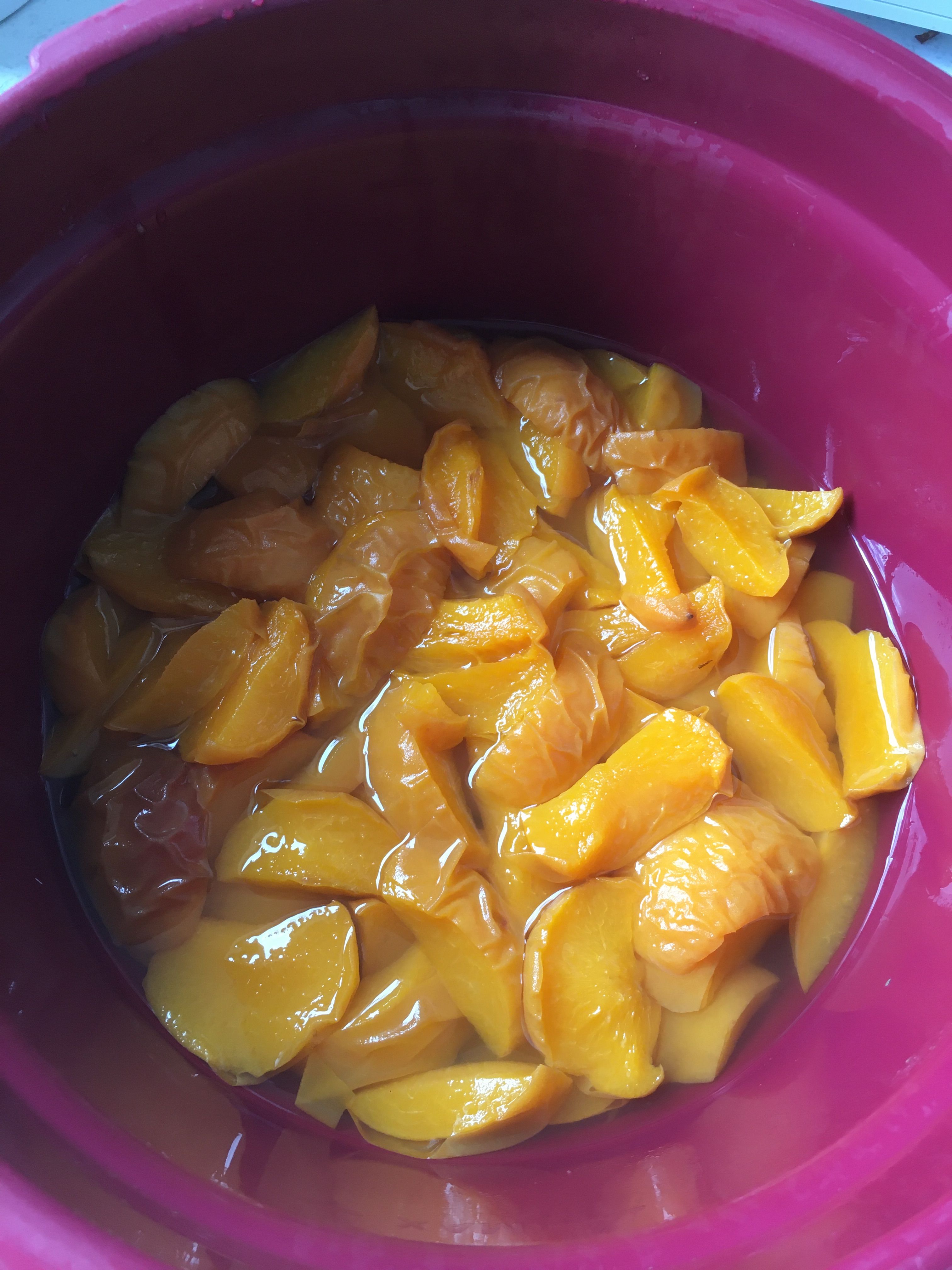 Micro-Pressure Stewed Peaches | bunch
