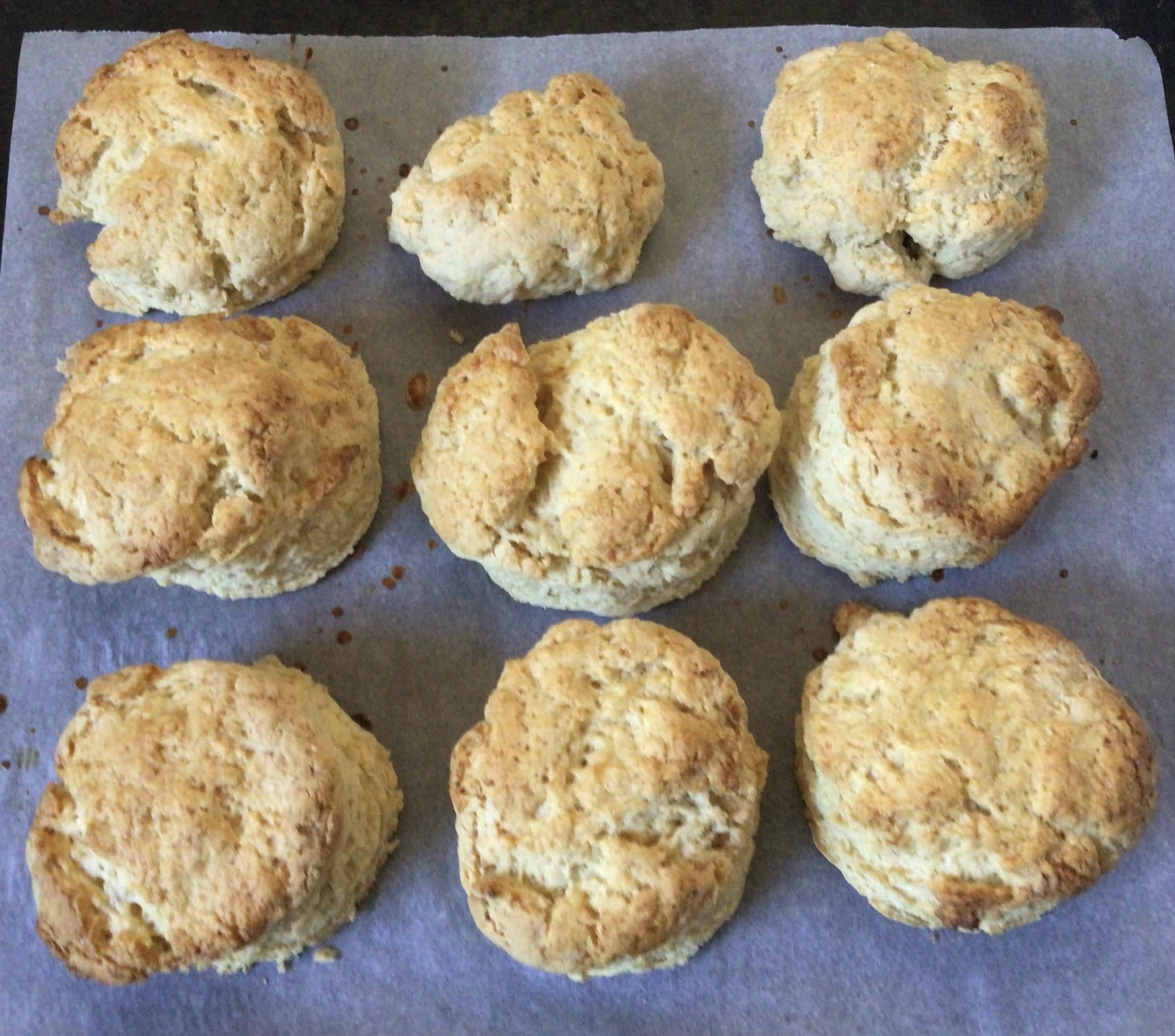 Classic Scones | bunch