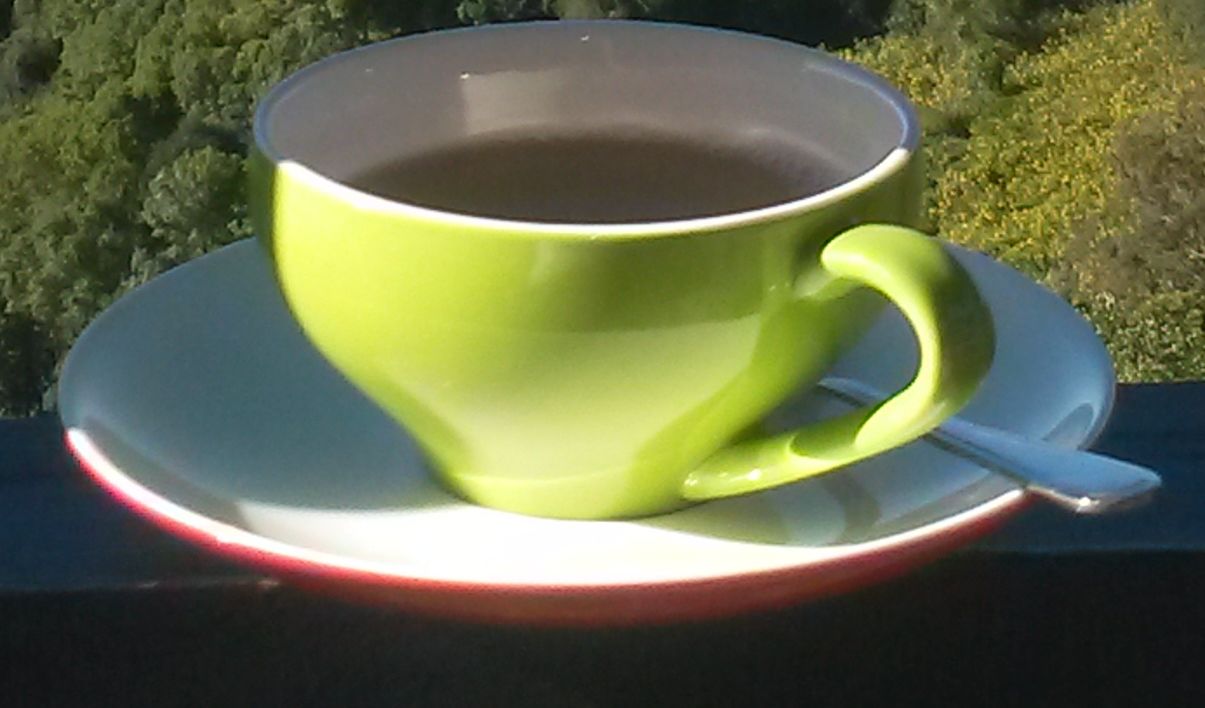 Walk a mile in someone elses shoes...... | bunch