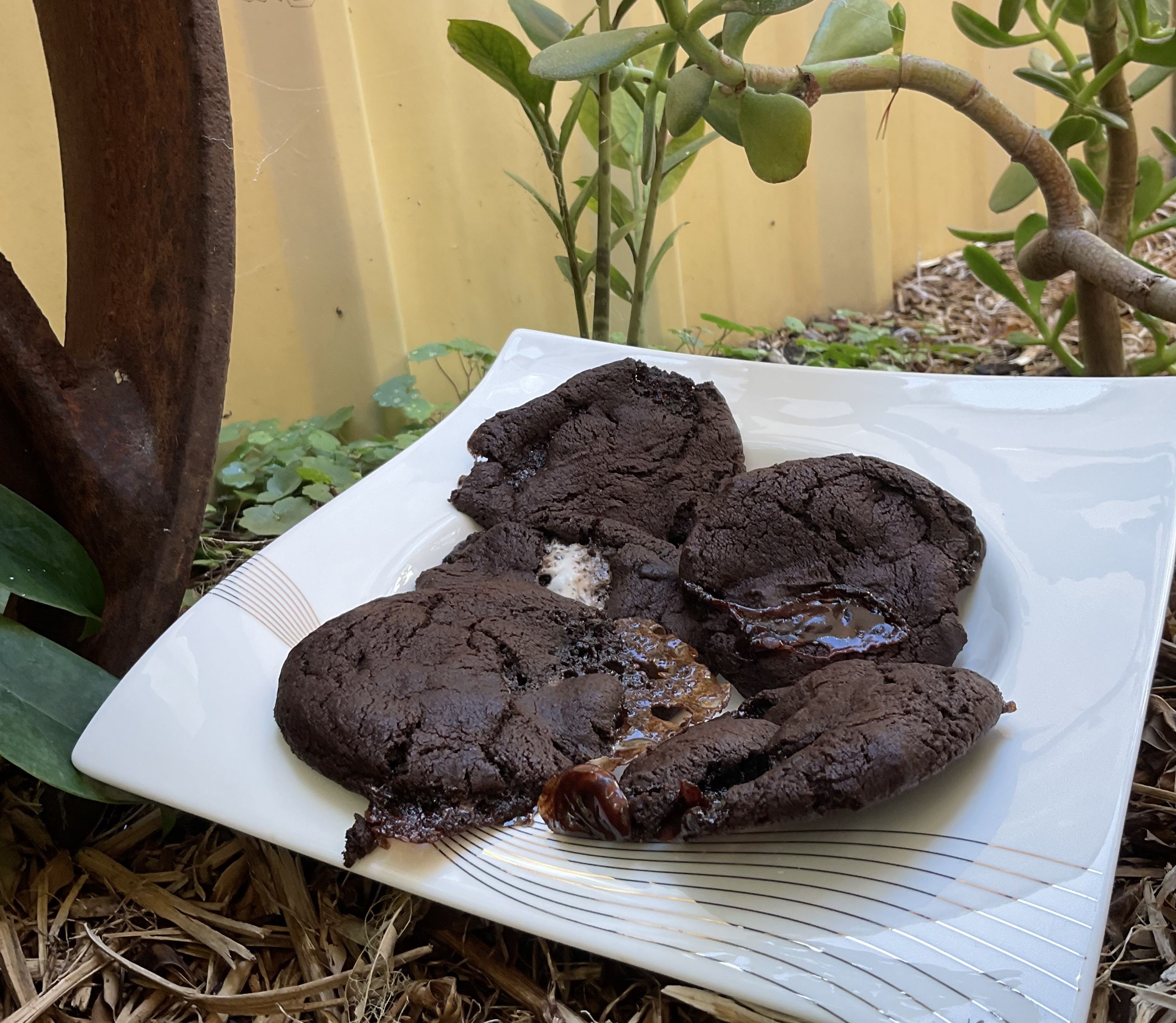 Ugly Cookies | bunch