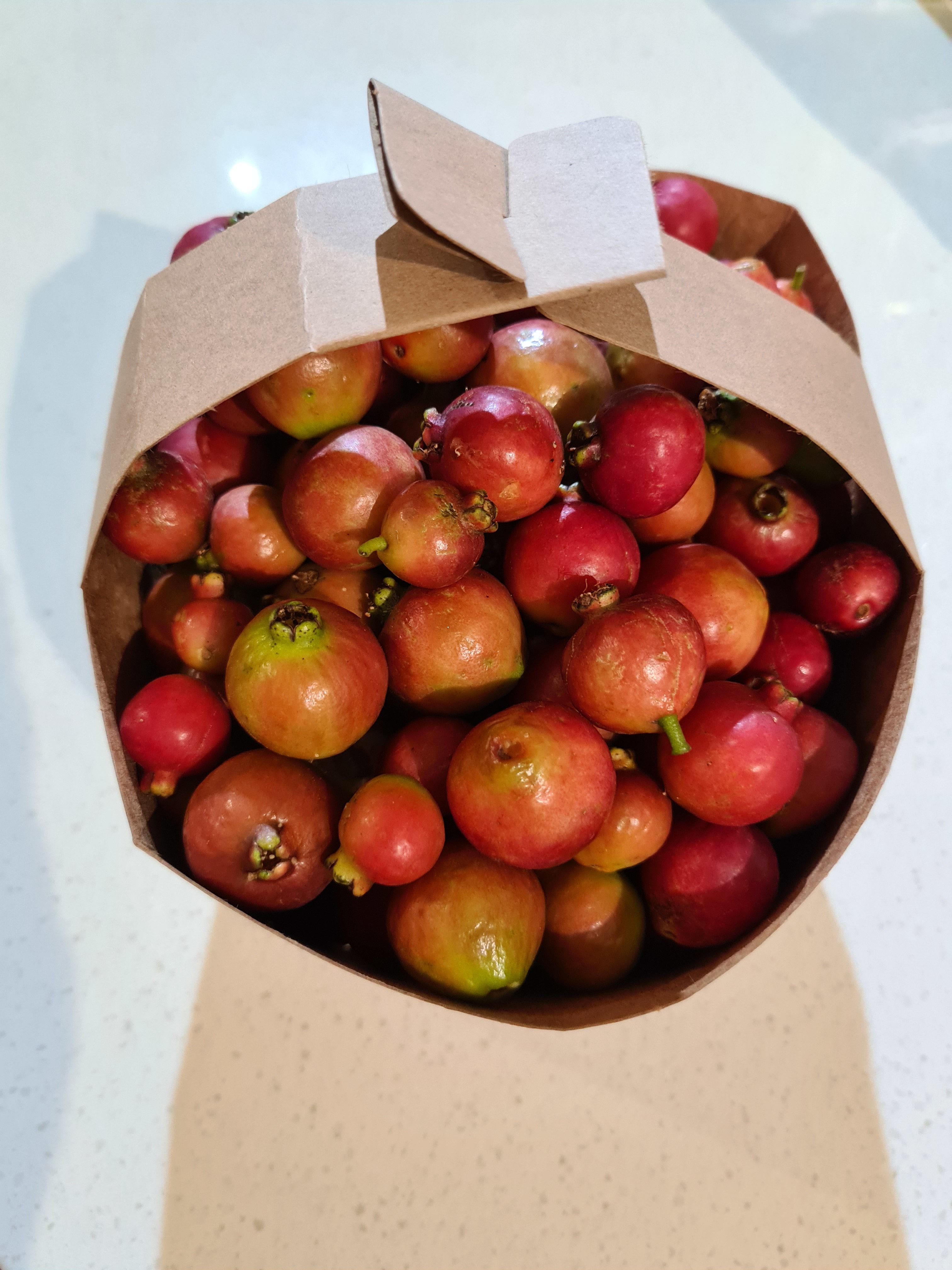 Looking after the environment | bunch