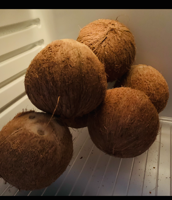 Coconuts for Coconuts | bunch