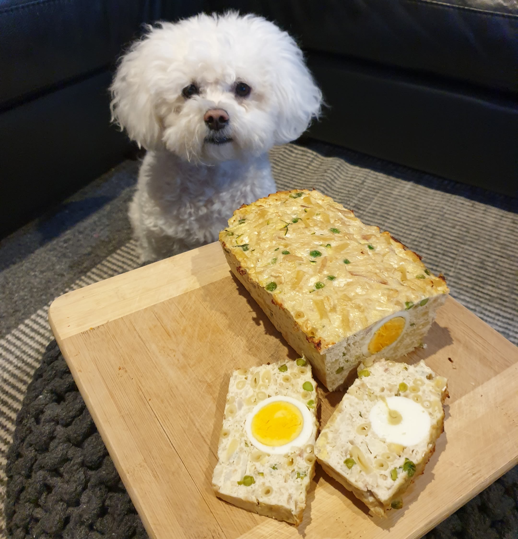 Chicken Meatloaf for your Dog | bunch