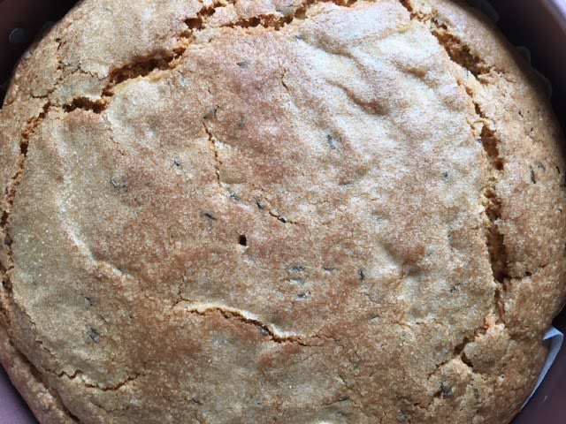 Caraway Seed Cake | bunch