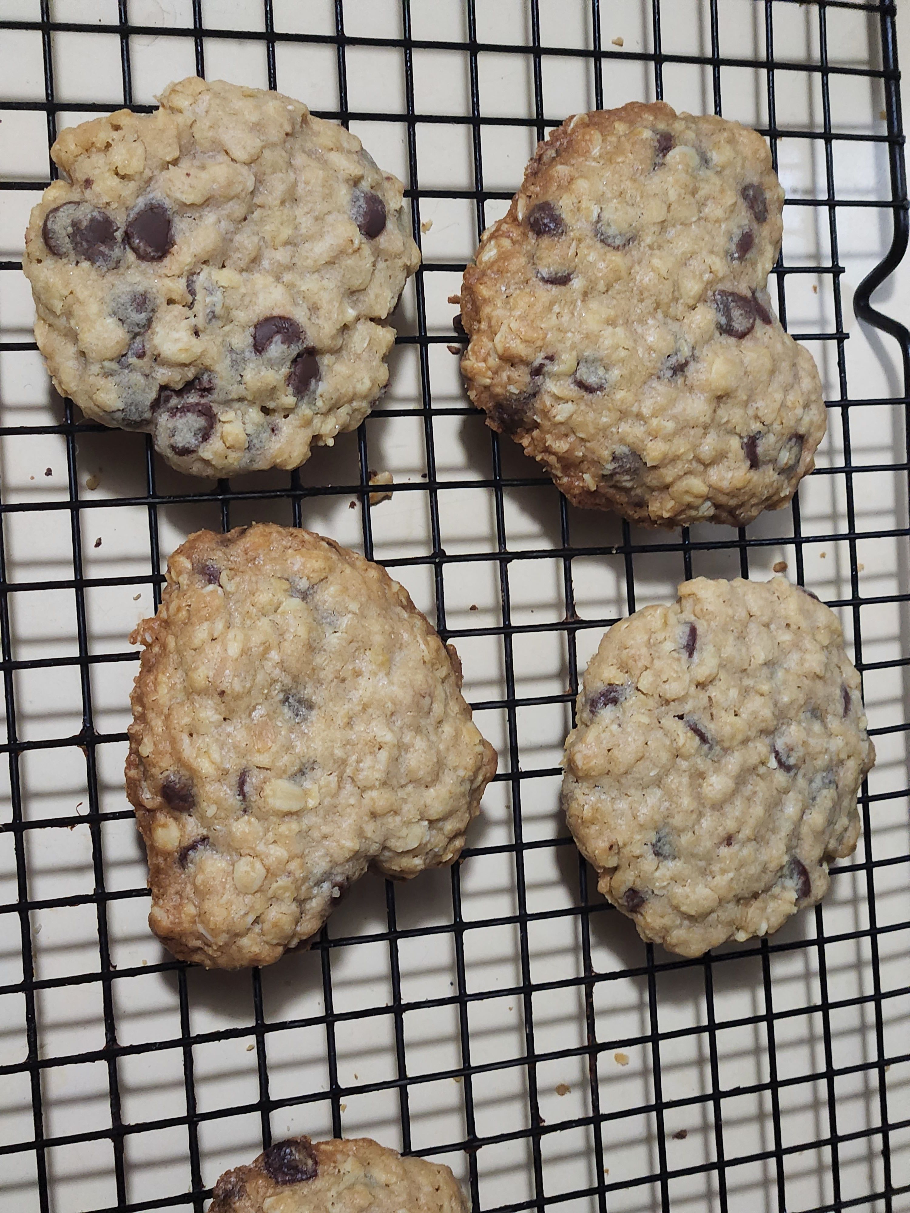Rolled Oat Choc Chip Biscuits | bunch