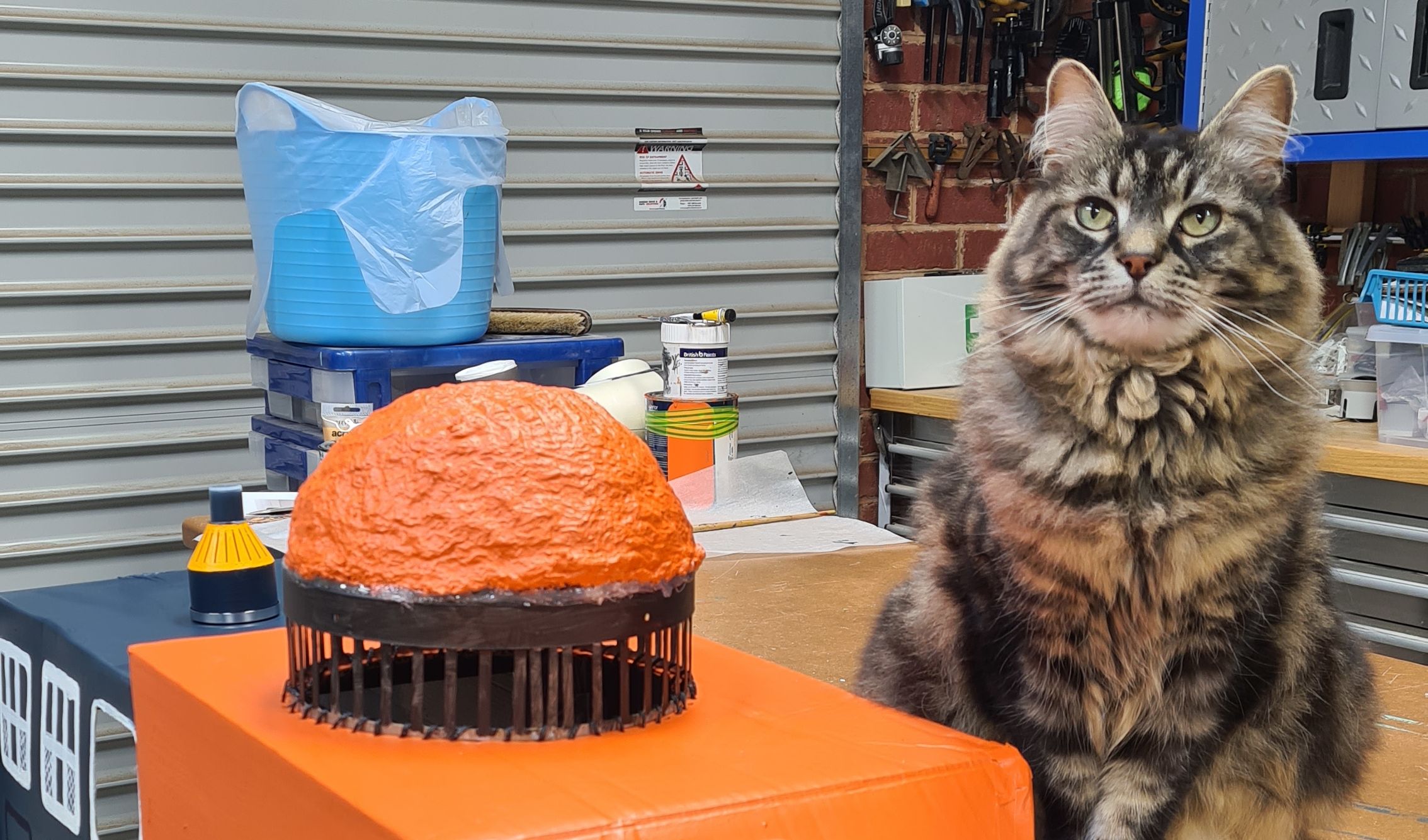 Keep the kids and cat busy this holiday | bunch