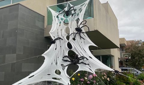 Halloween in Australia | bunch