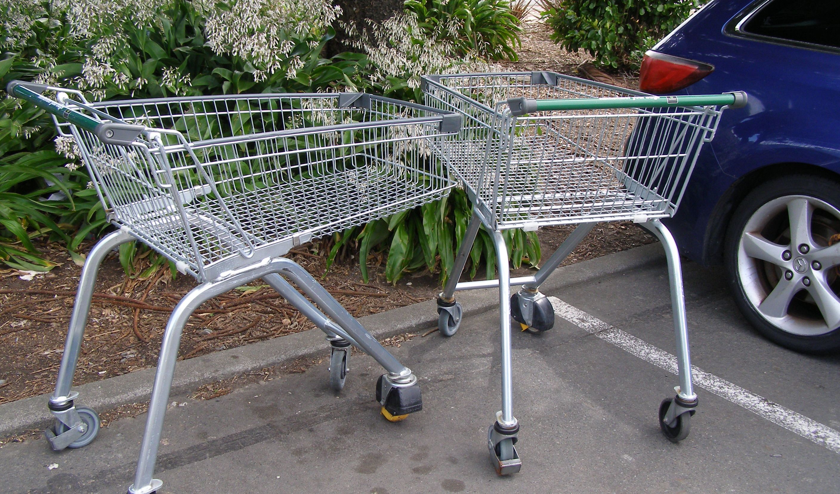 Trolley attraction | bunch