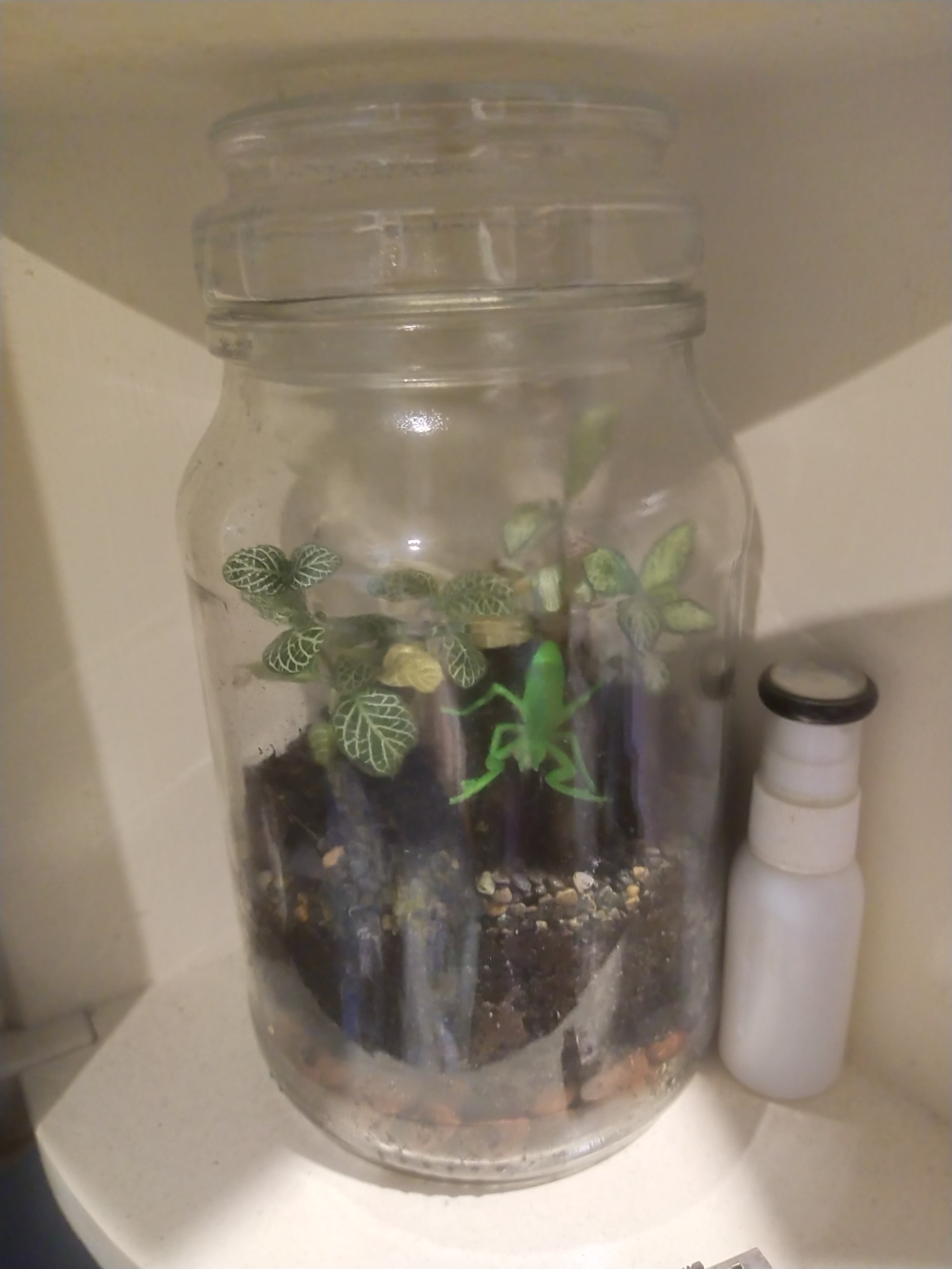 Best uses for Moccona Jars | bunch