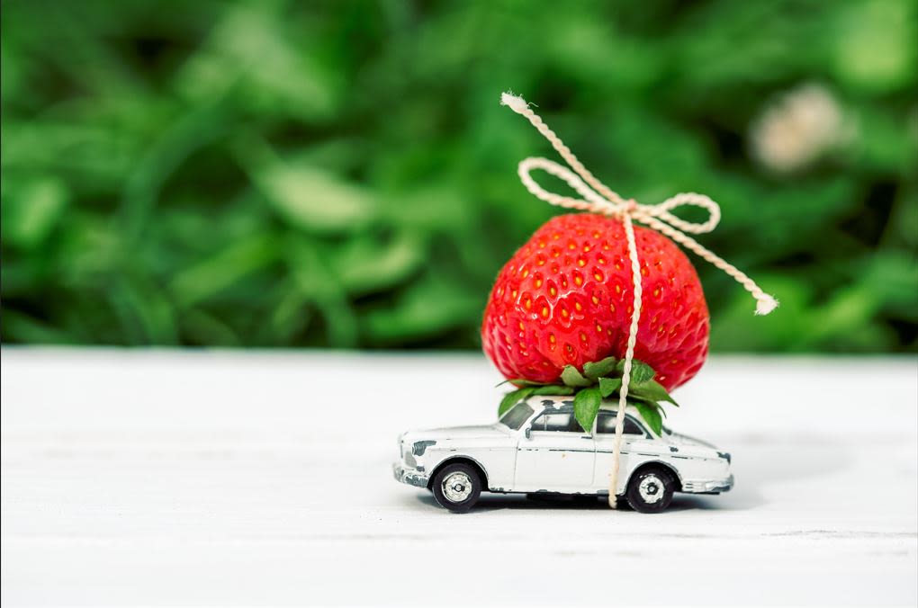 The best bunchee ideas for road trip snacks | bunch