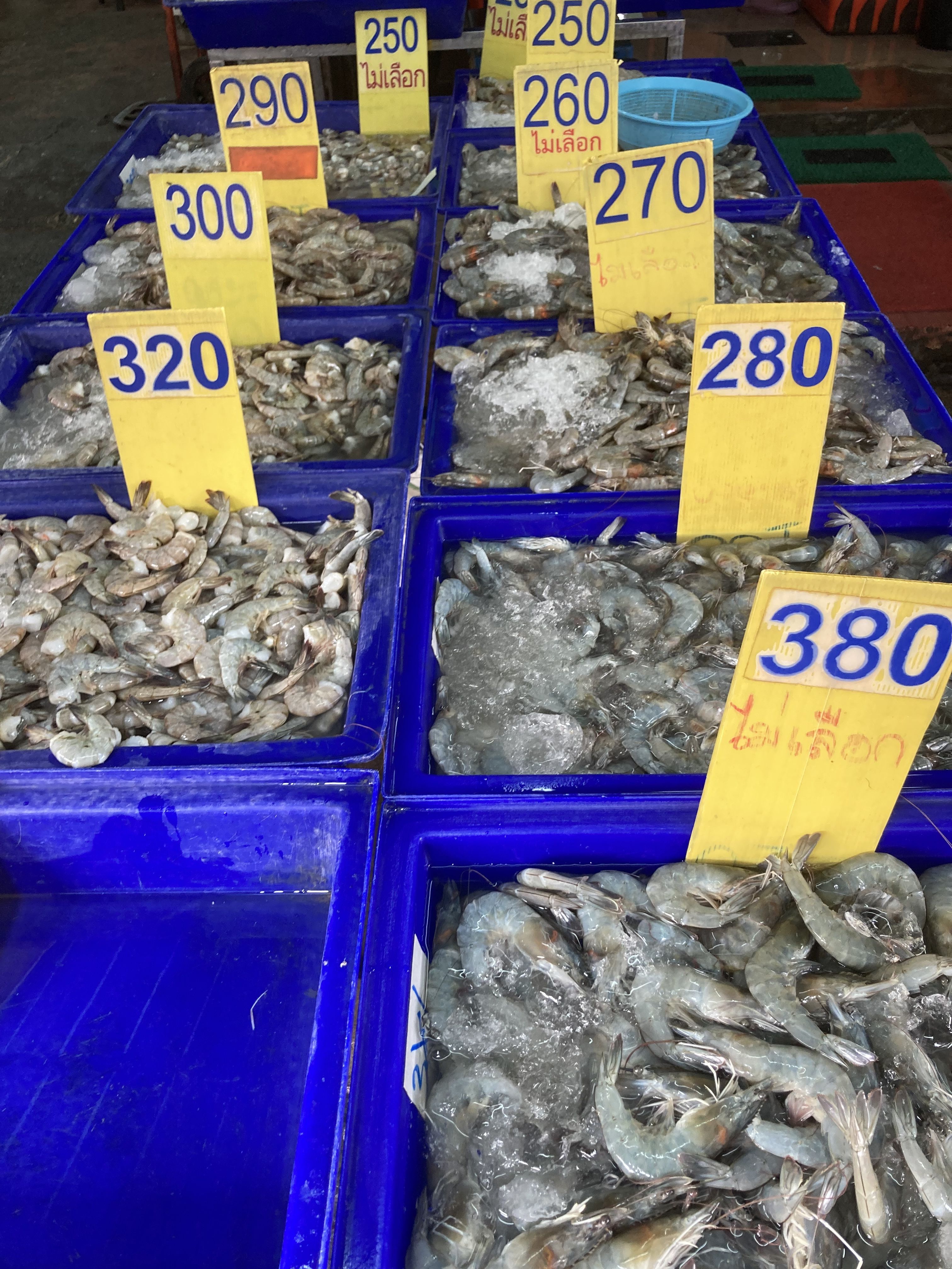 Chiang Mai Day 4 | bunch