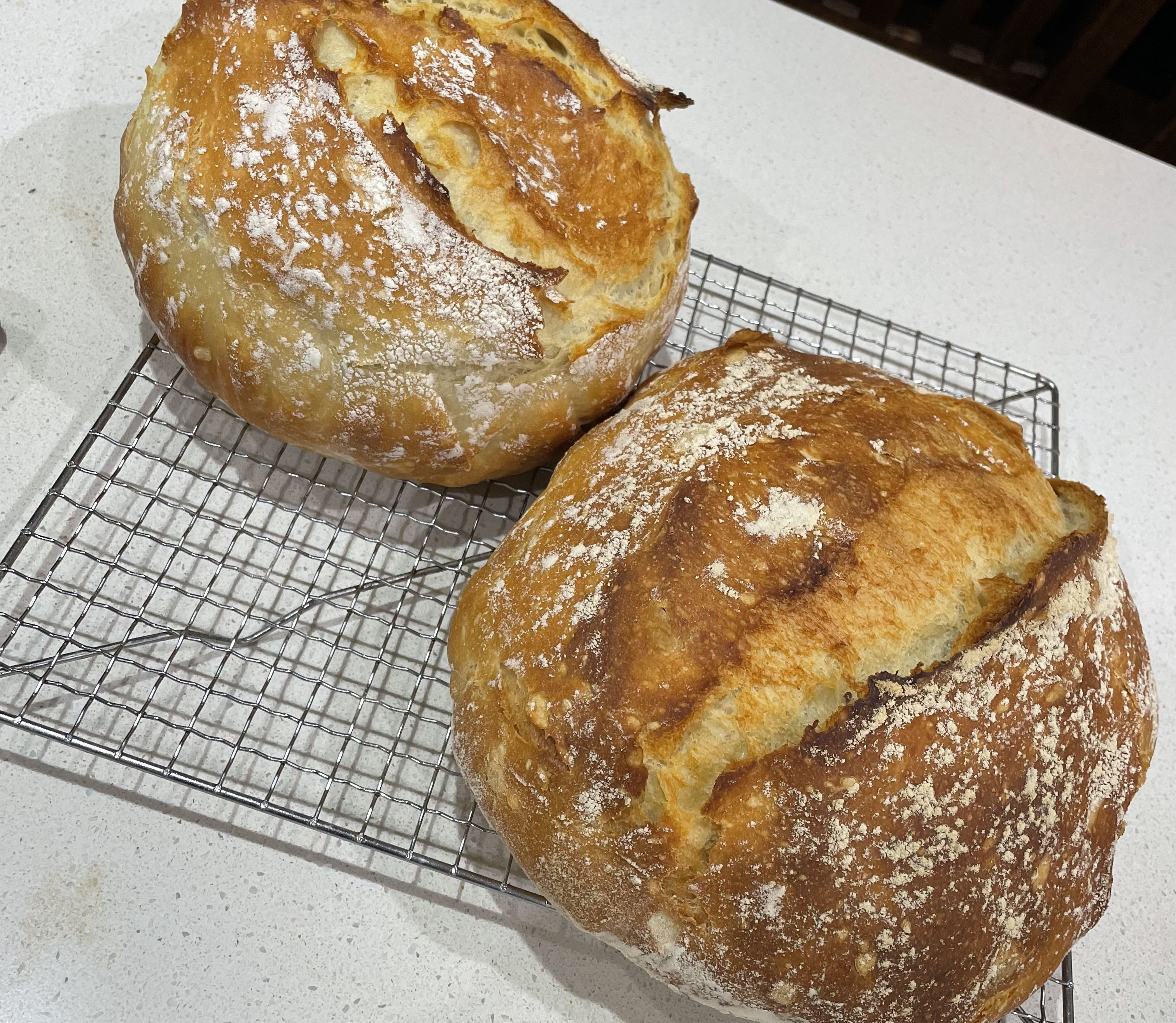 Bread | bunch