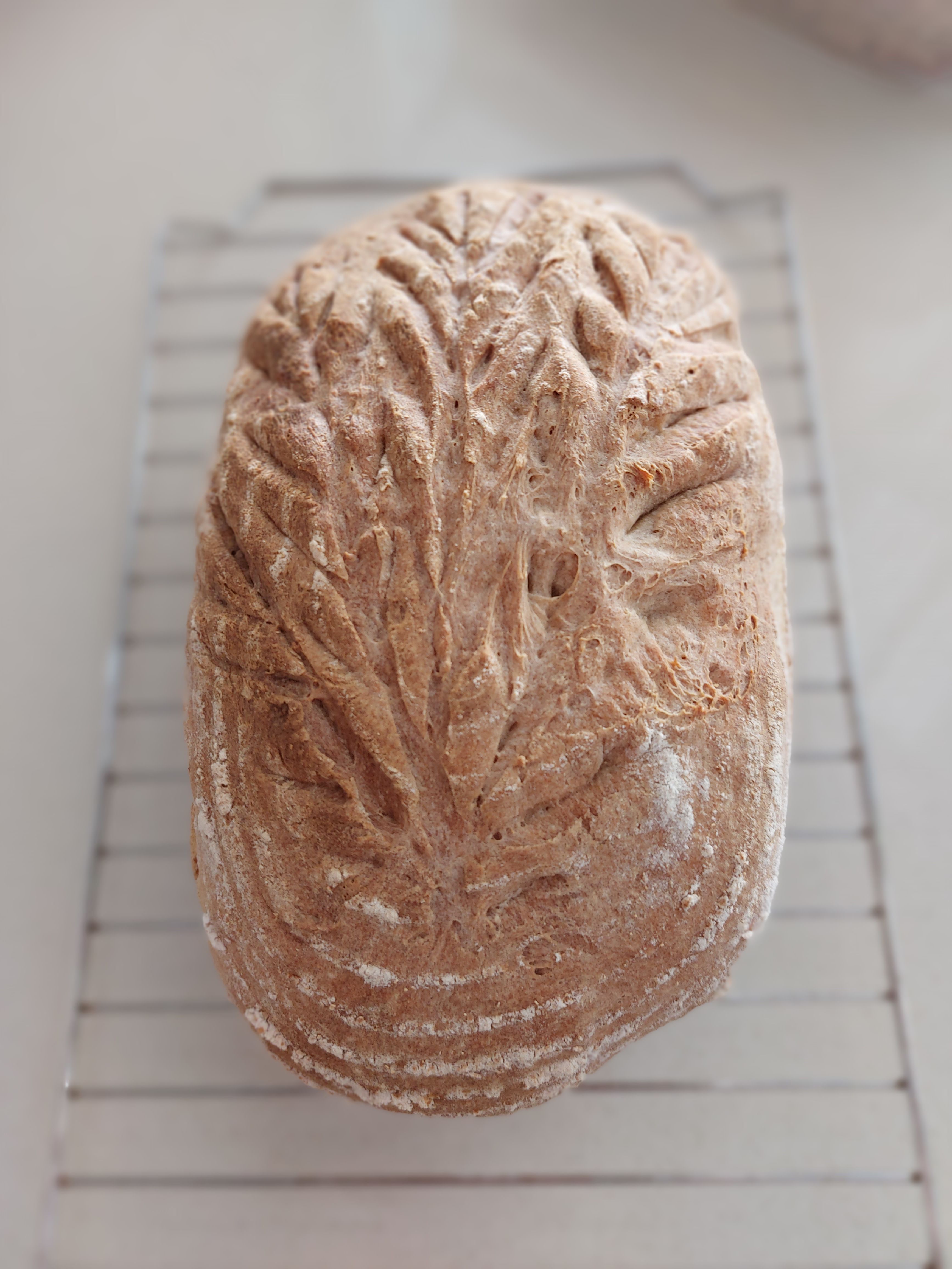 The beauty of bread | bunch