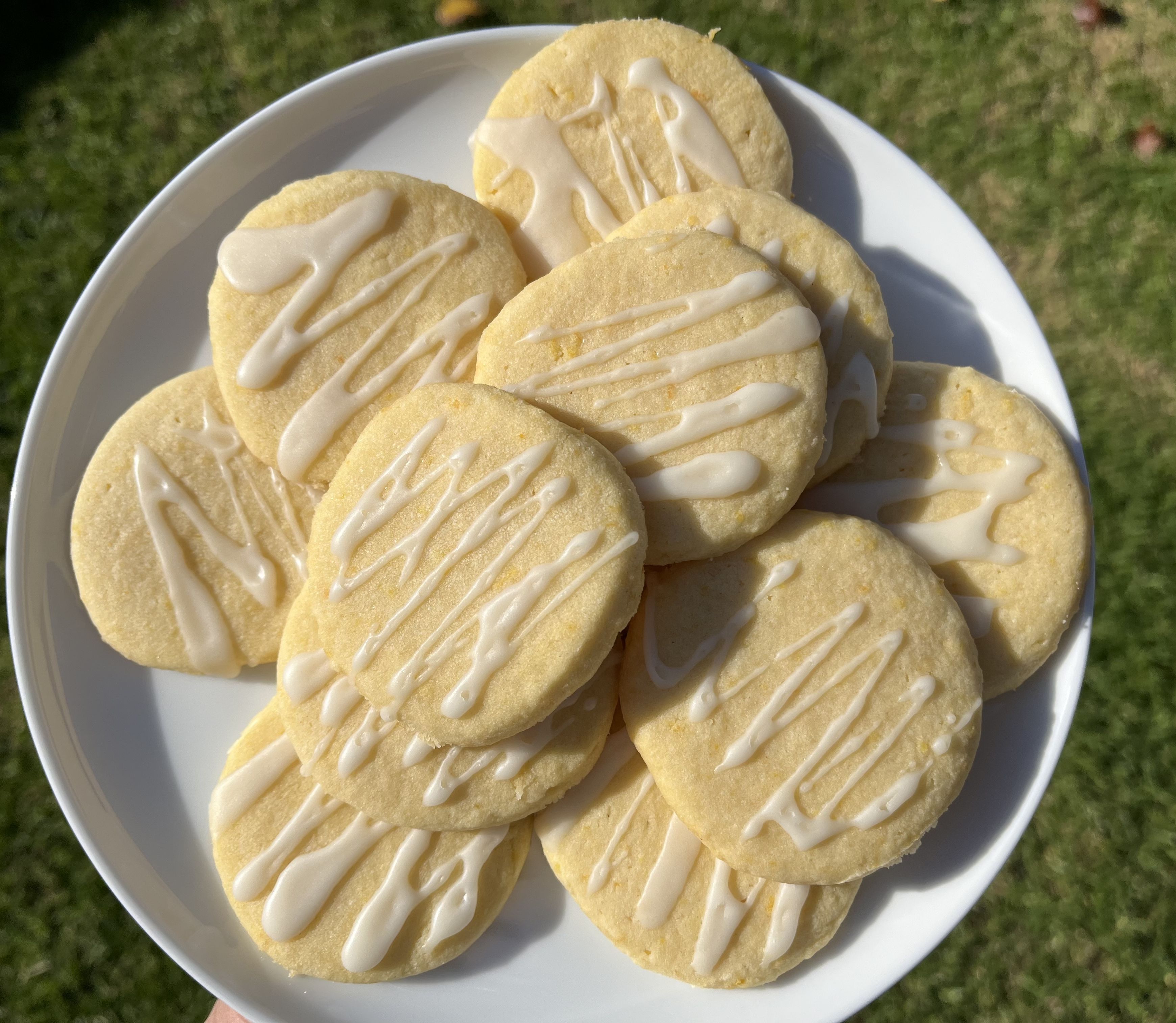 Orange moon biscuits | bunch