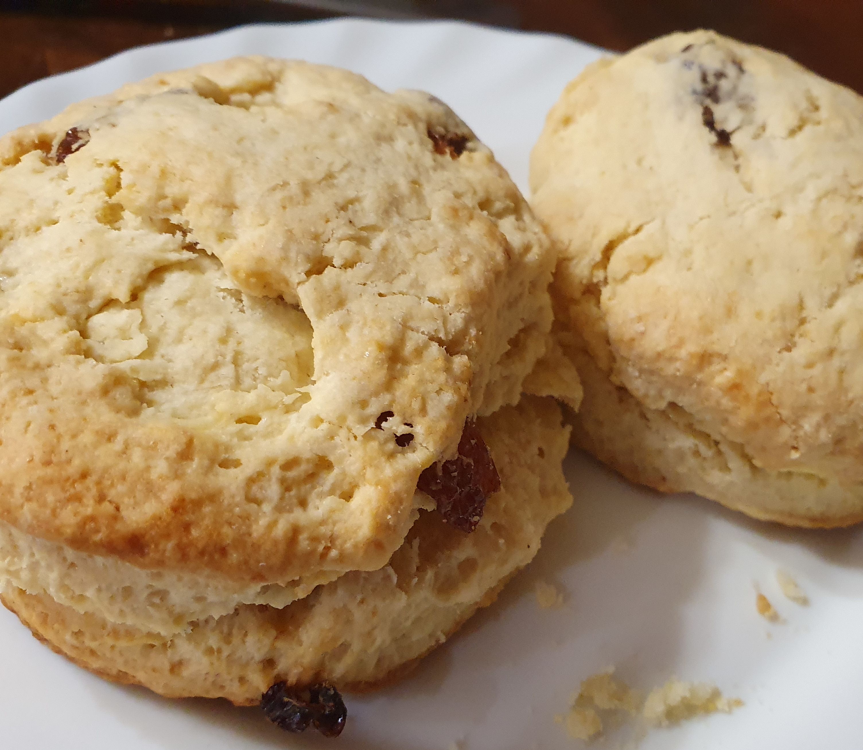 Raisin Scones | bunch