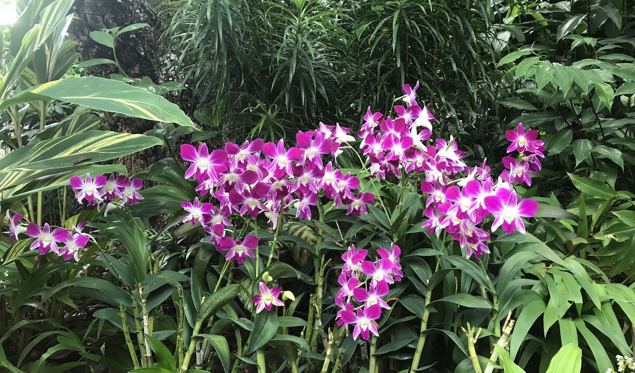 A Trailing Spouse | bunch