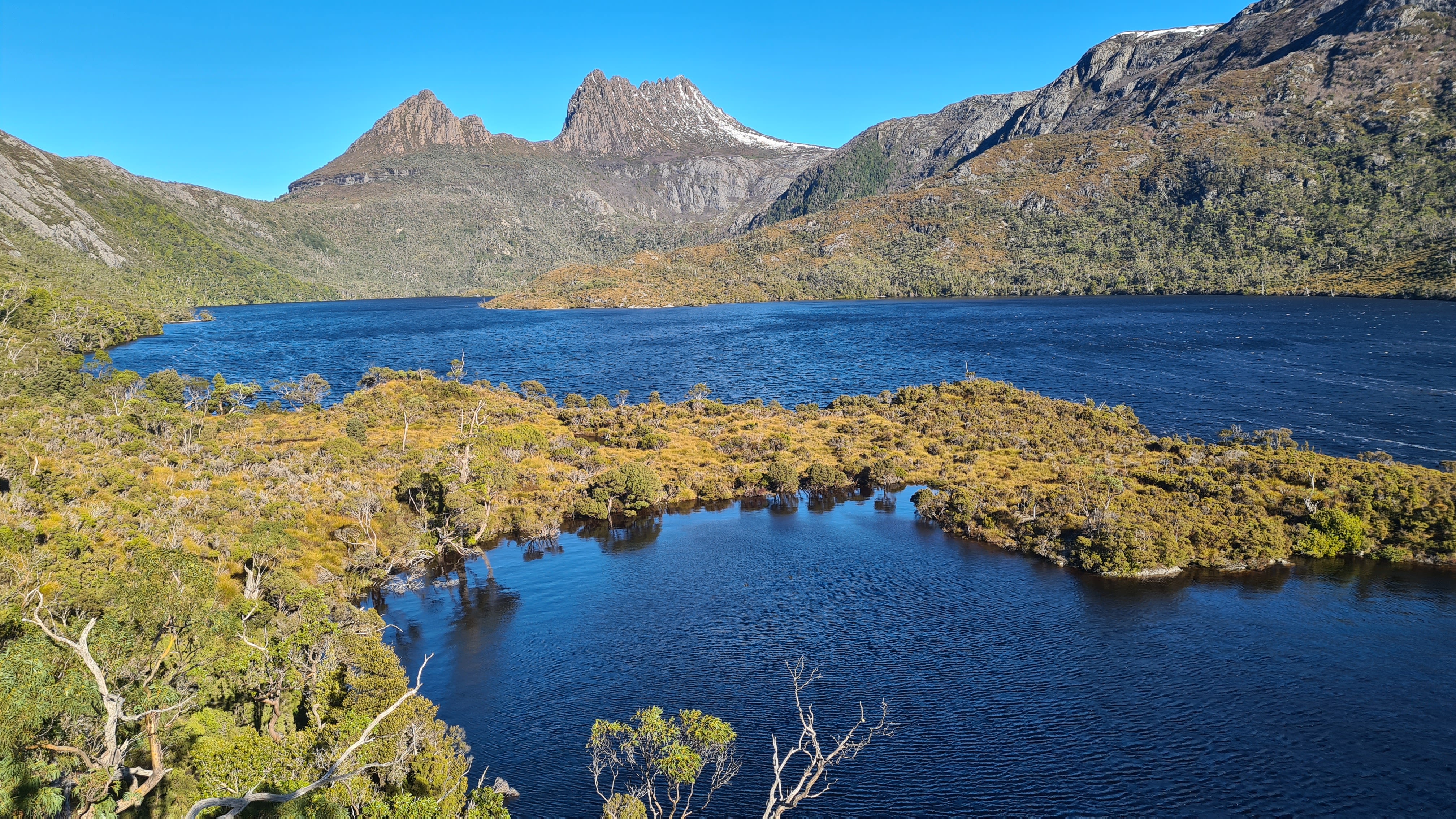 Part 1 of trip to Tassie | bunch