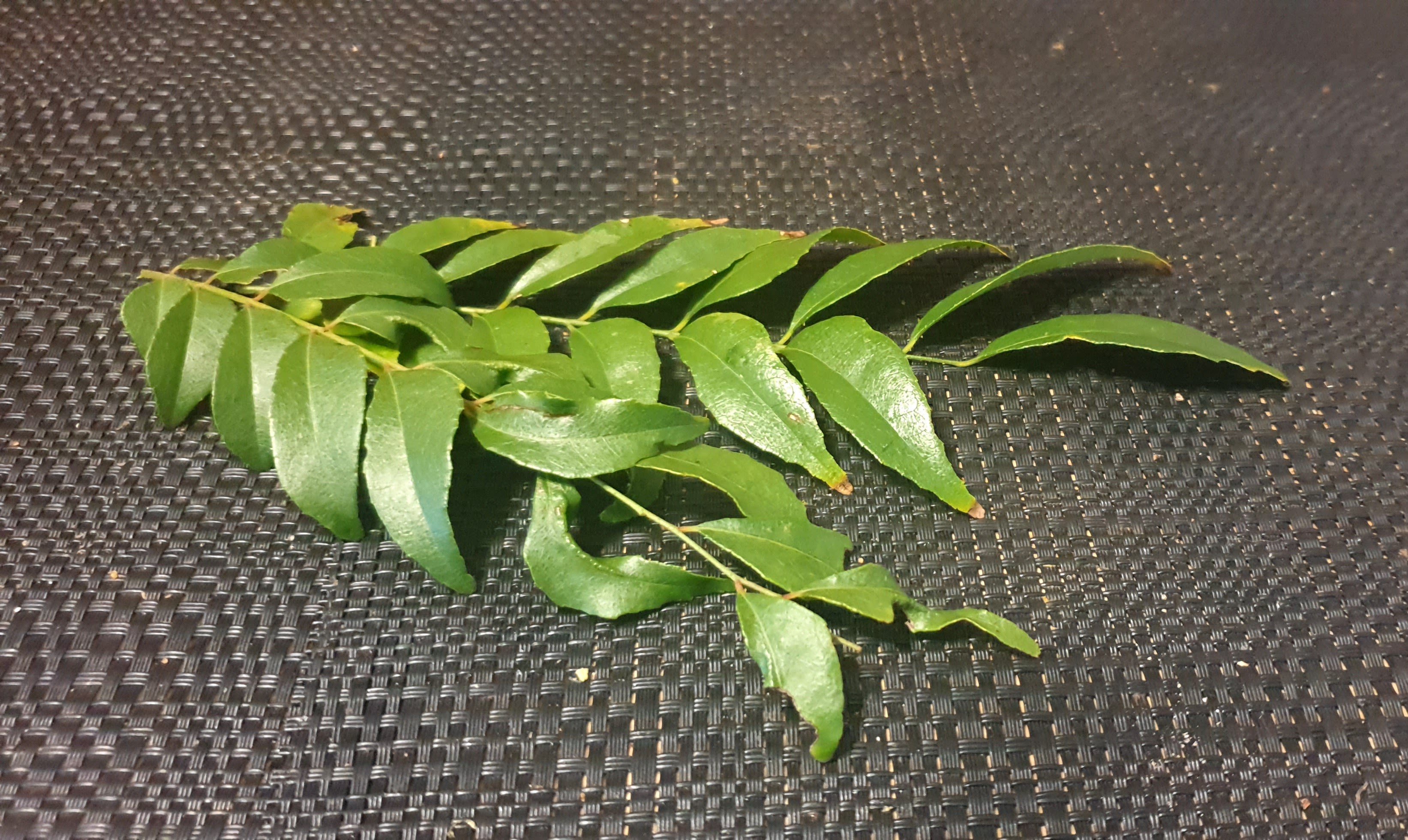 CURRY LEAVES | bunch