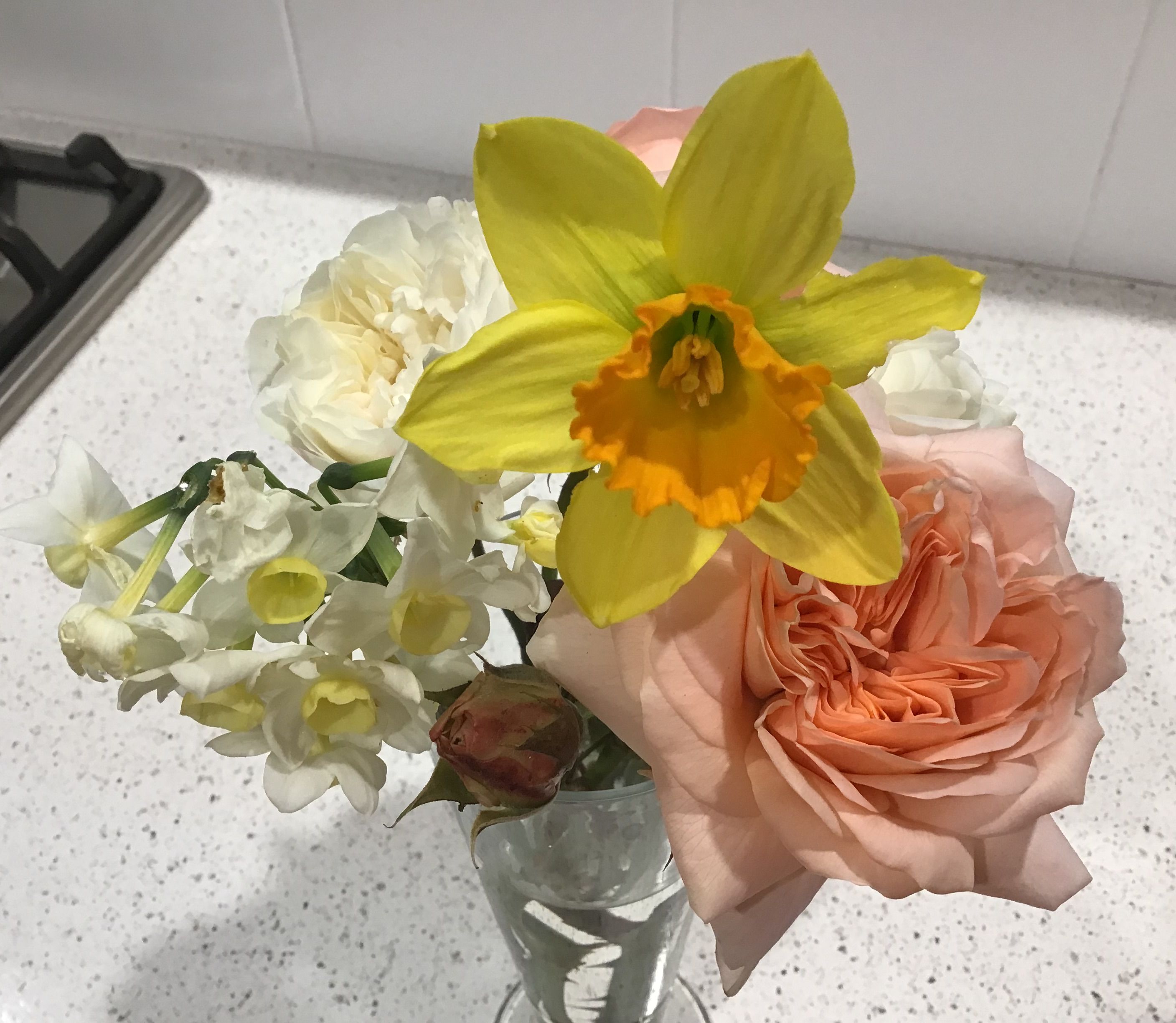 Beating the Budget Blues | bunch