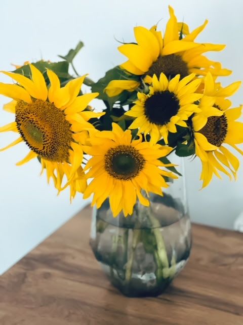 Sunflowers teach us to stand tall and face the sun | bunch