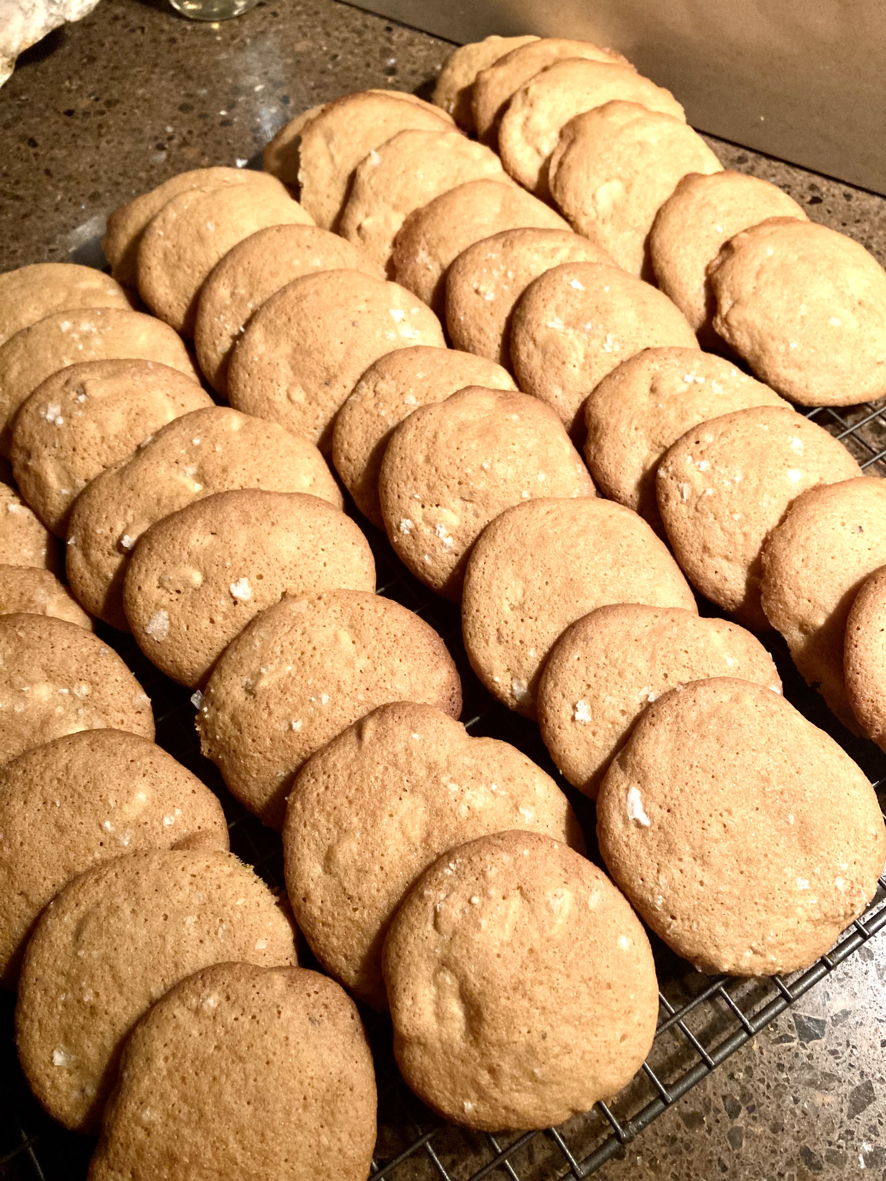 Salted Peanut Cookies | bunch