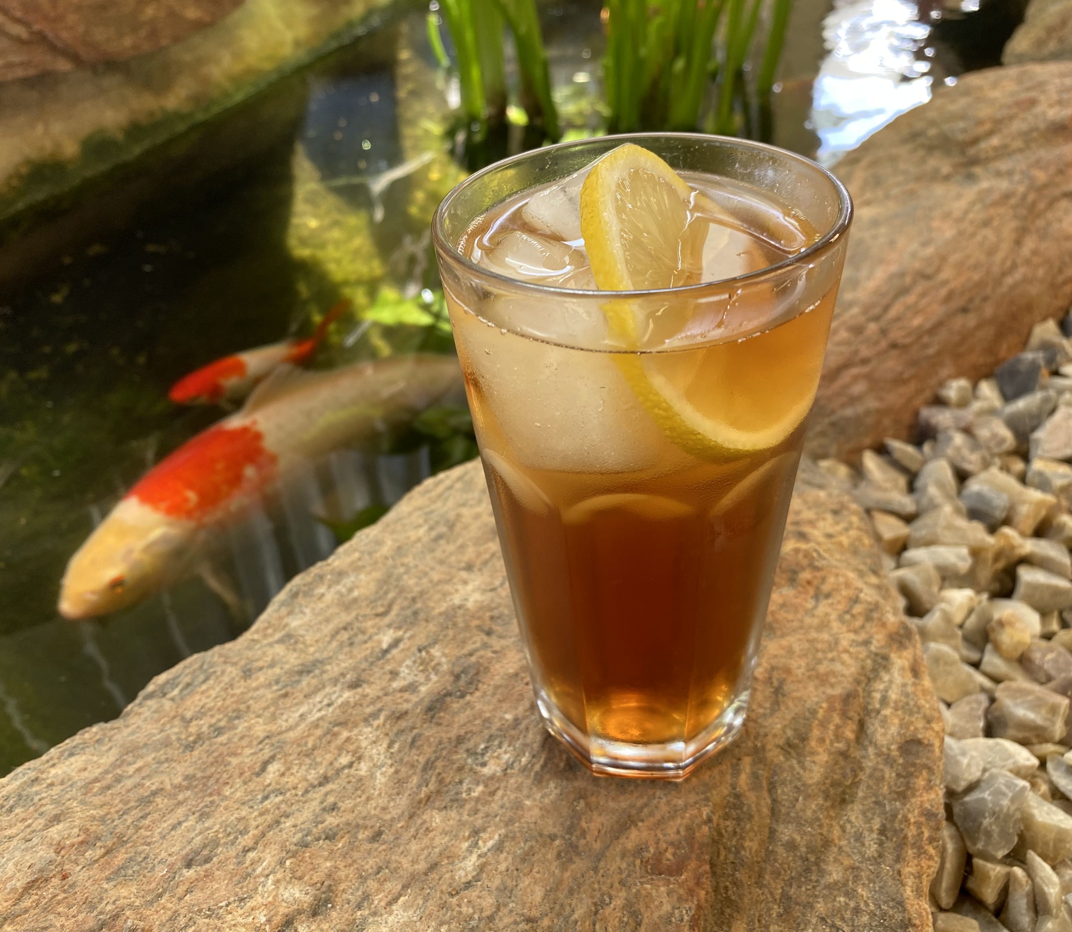 Iced Tea | bunch