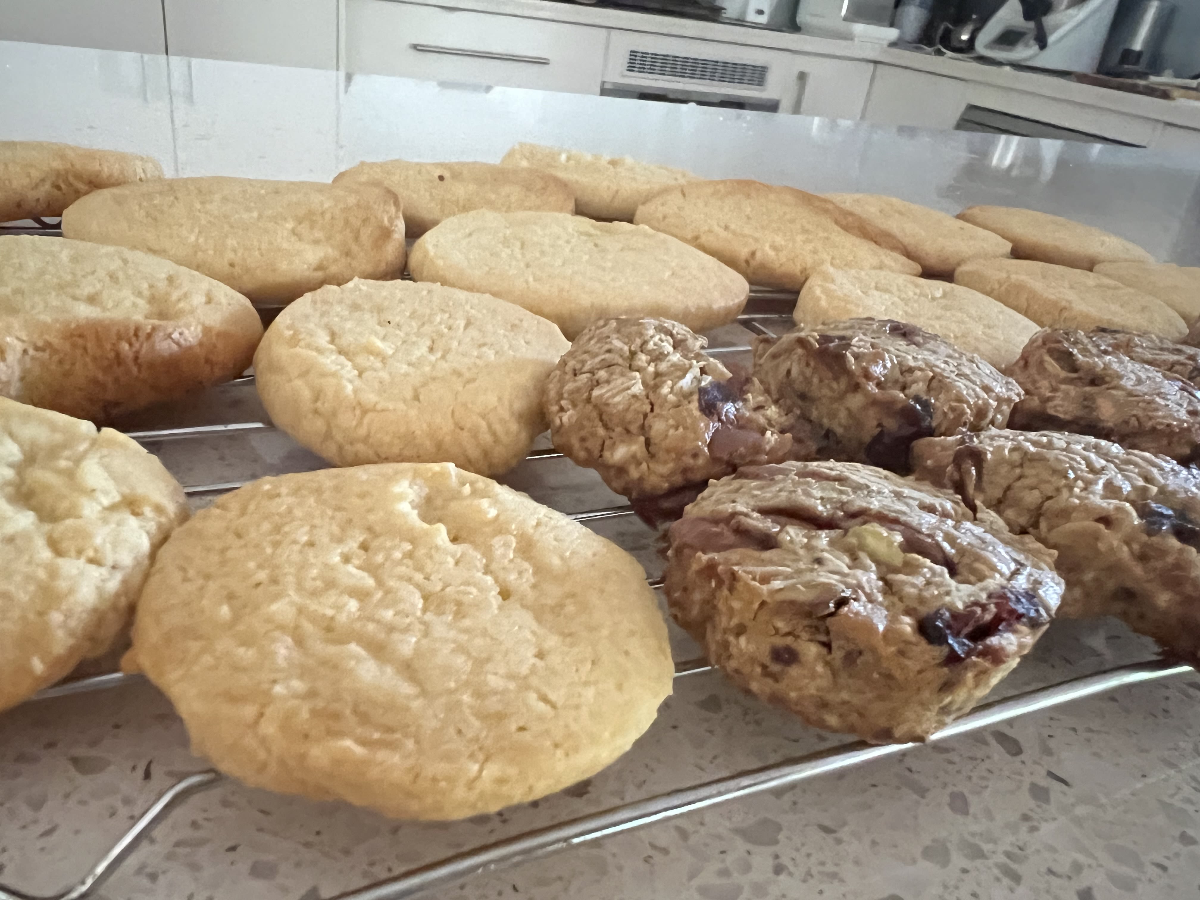 Cereal, Choc or Sultana Biscuits | bunch