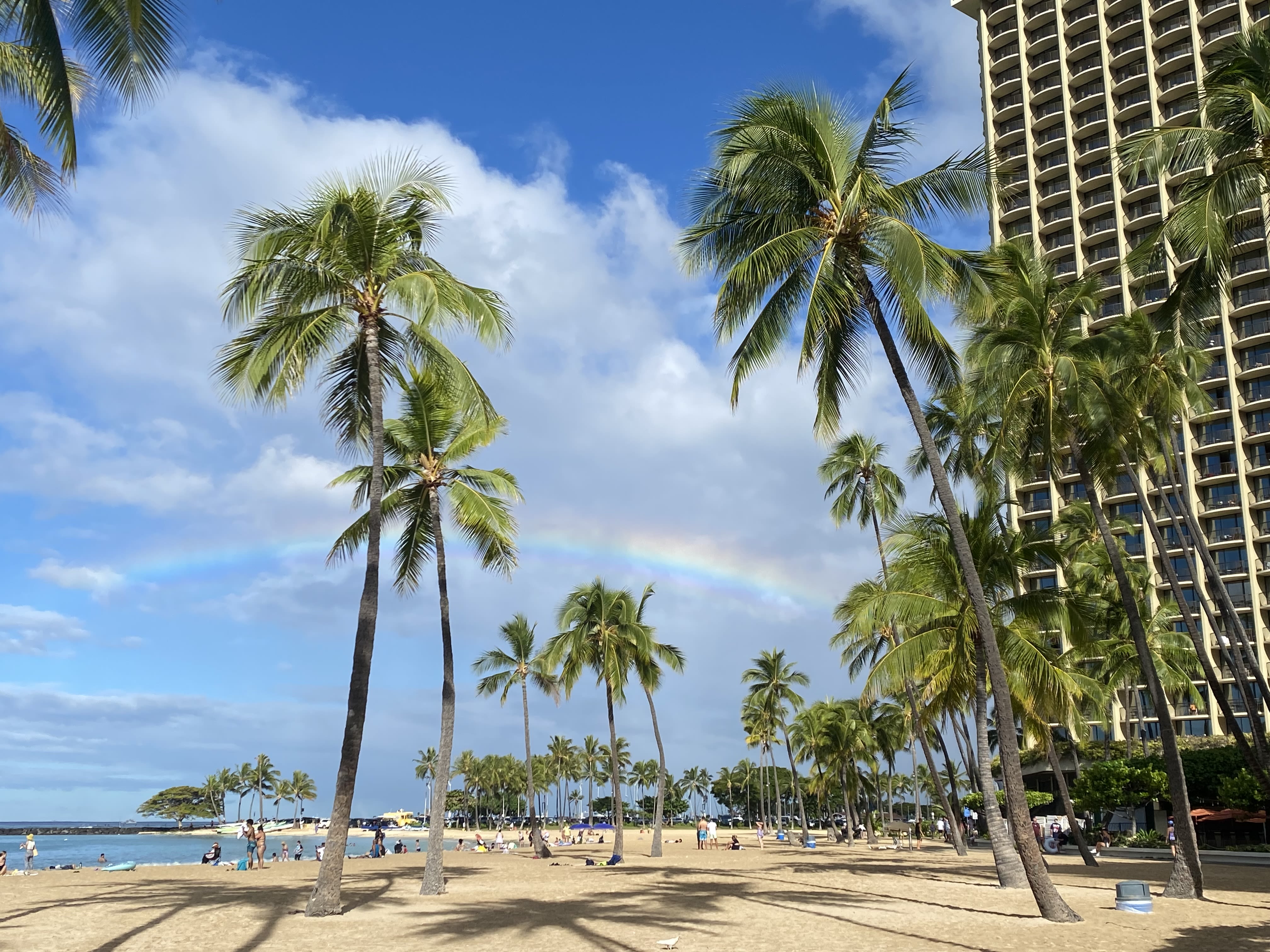 Visiting Waikiki - top tips from our many trips! | bunch