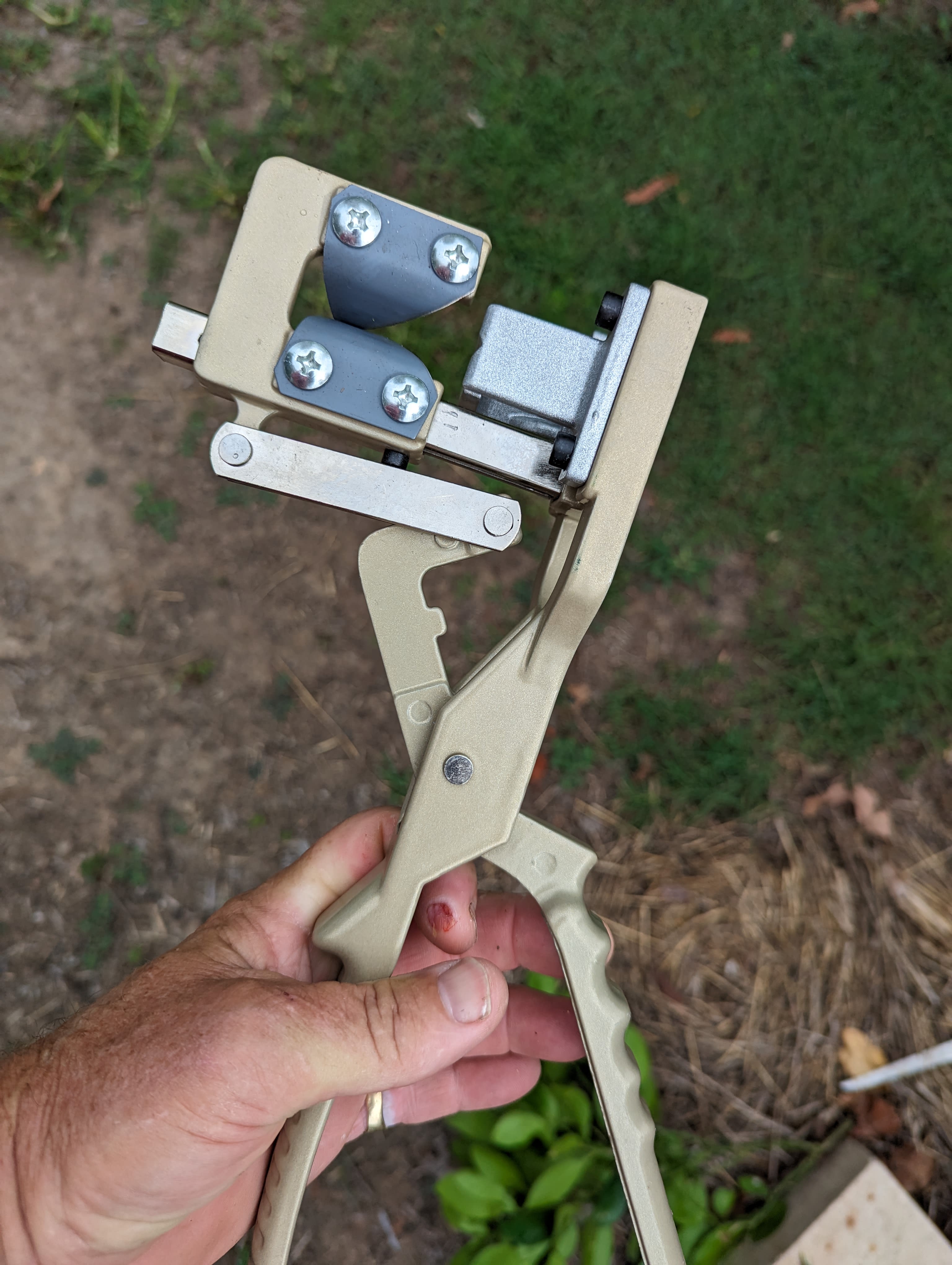 Great tool for Grafting . | bunch