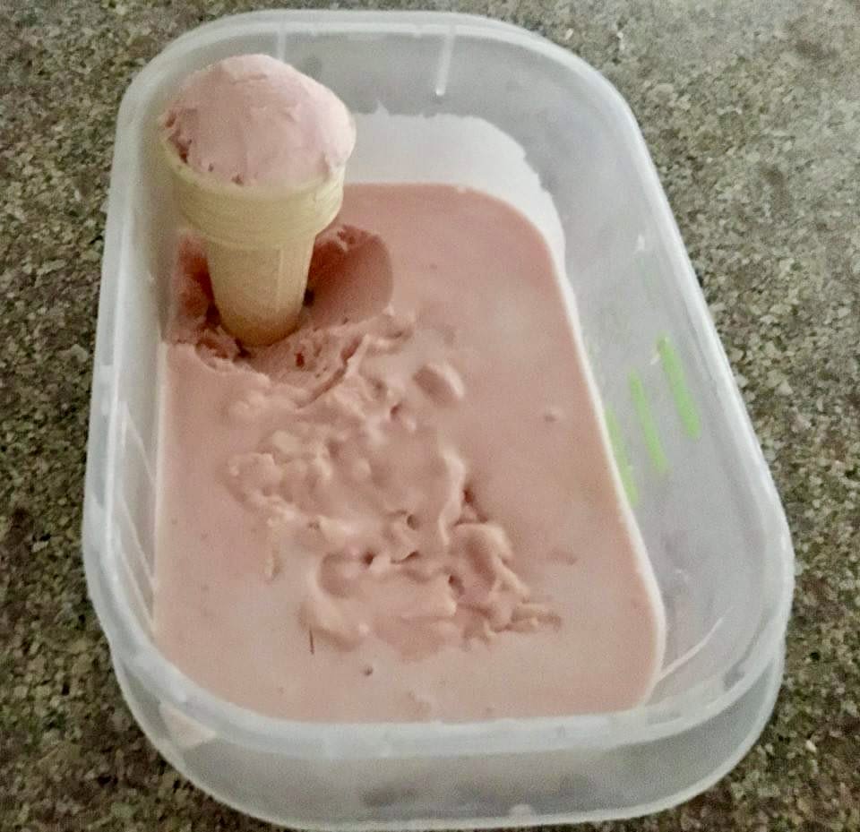 Musk Ice Cream | bunch